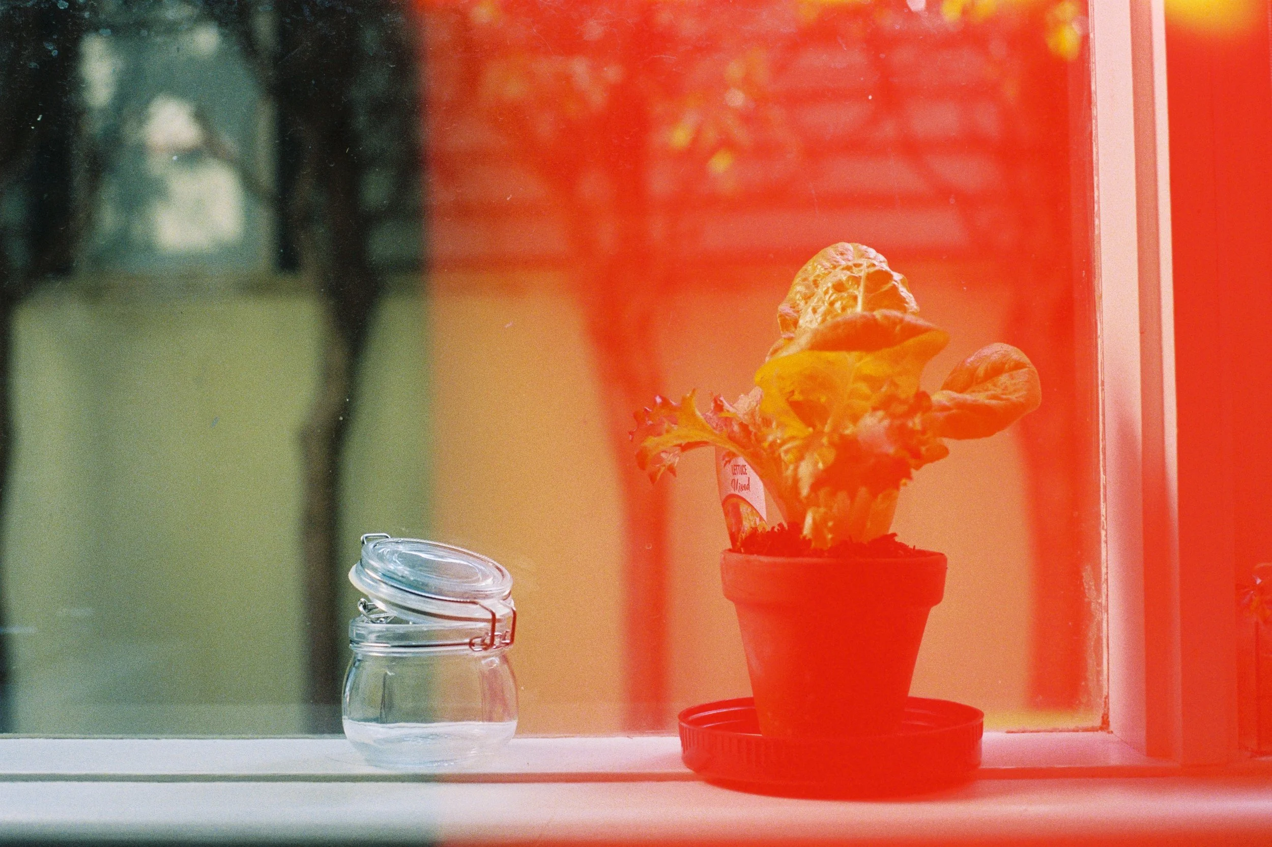 Review of the Minolta Xd (xd7/xd11) - why this camera is a Film ...