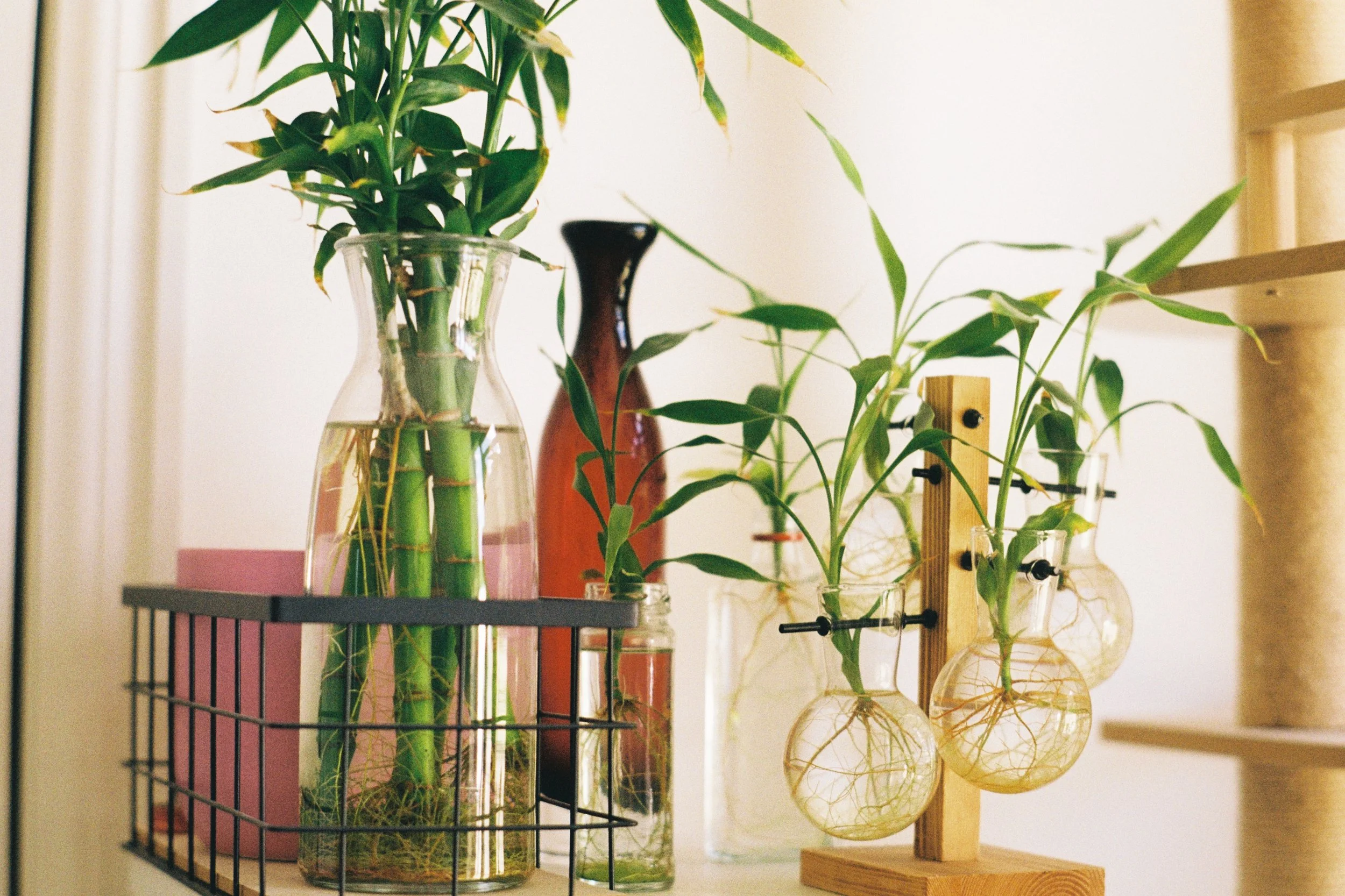 Review of the Minolta Xd (xd7/xd11) - why this camera is a Film ...