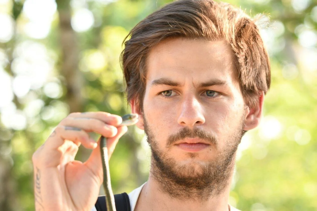 Snake Gallery: The world of African Snakes — NICOLAU ECOLOGY