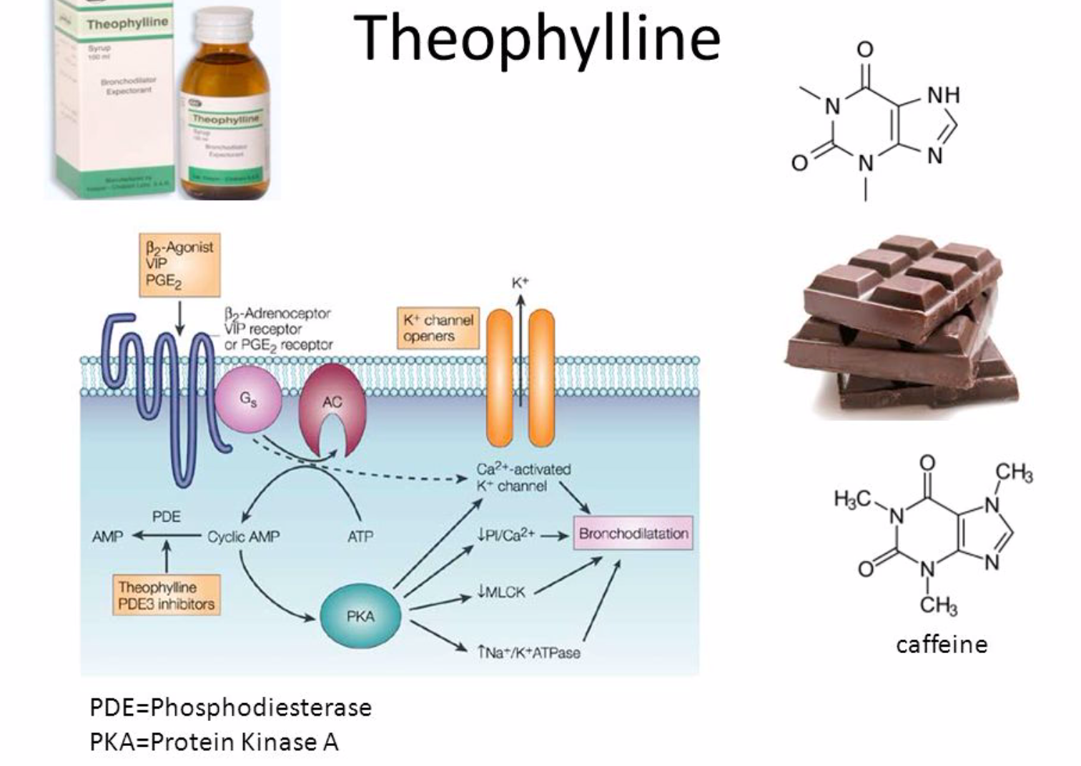 The Methylxanthine We All Take! A Look on Caffeine and Its Pharmacology ...
