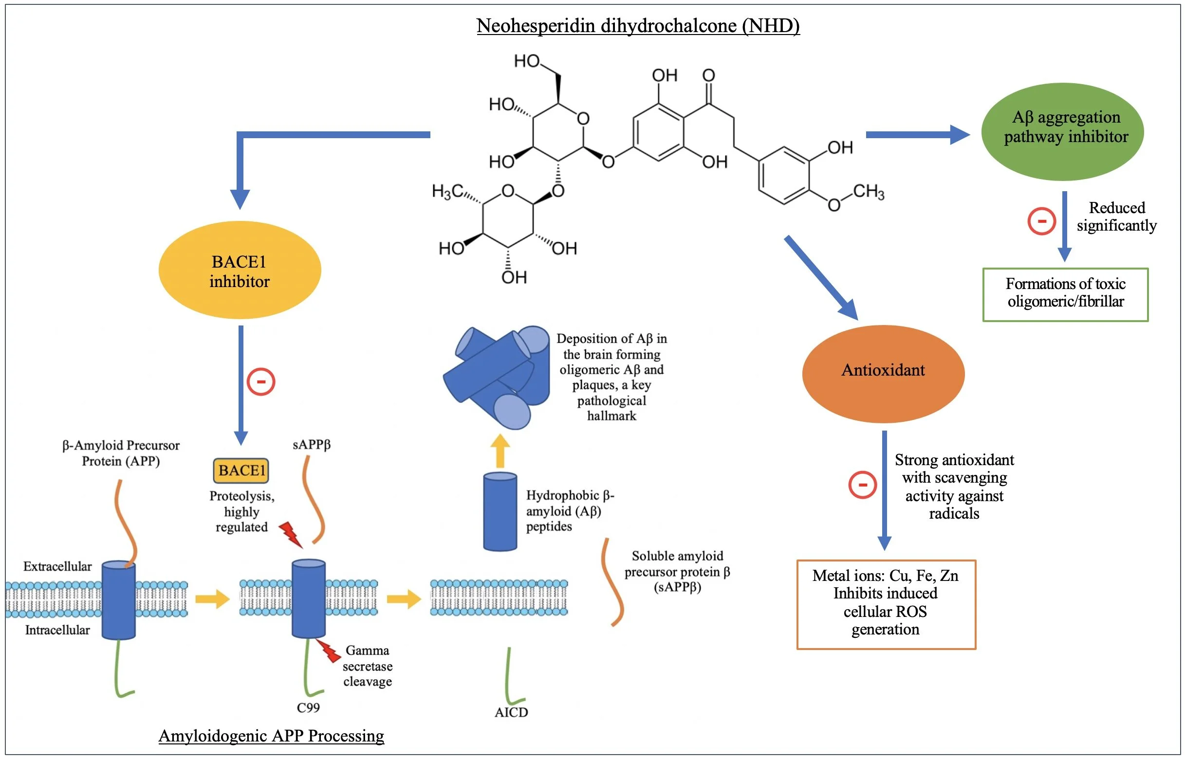 Novel Drug Treatment for Alzheimer's Disease, a Future Hope. — Andréas ...