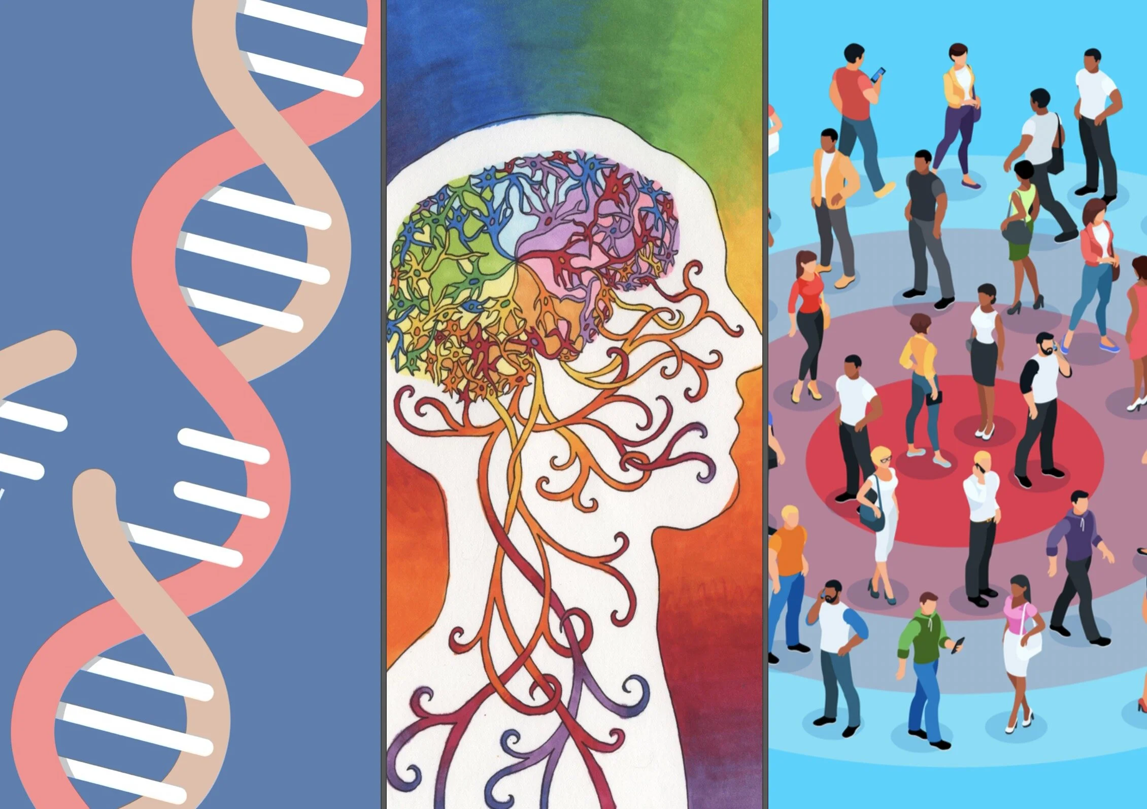 The 4P Factor Model and Its Purpose in Psychological Medicine ...