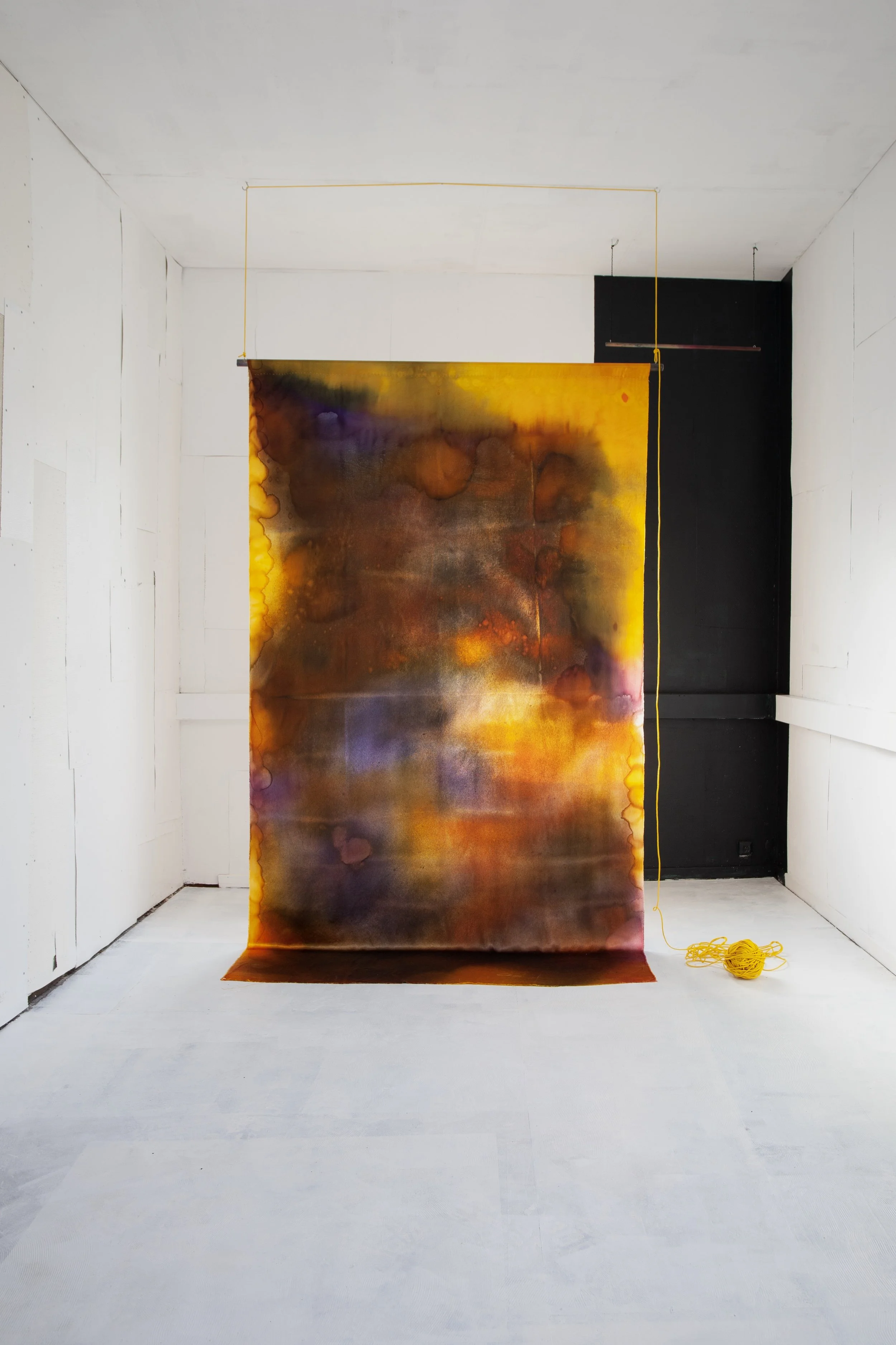 Anna Kristin Ferking