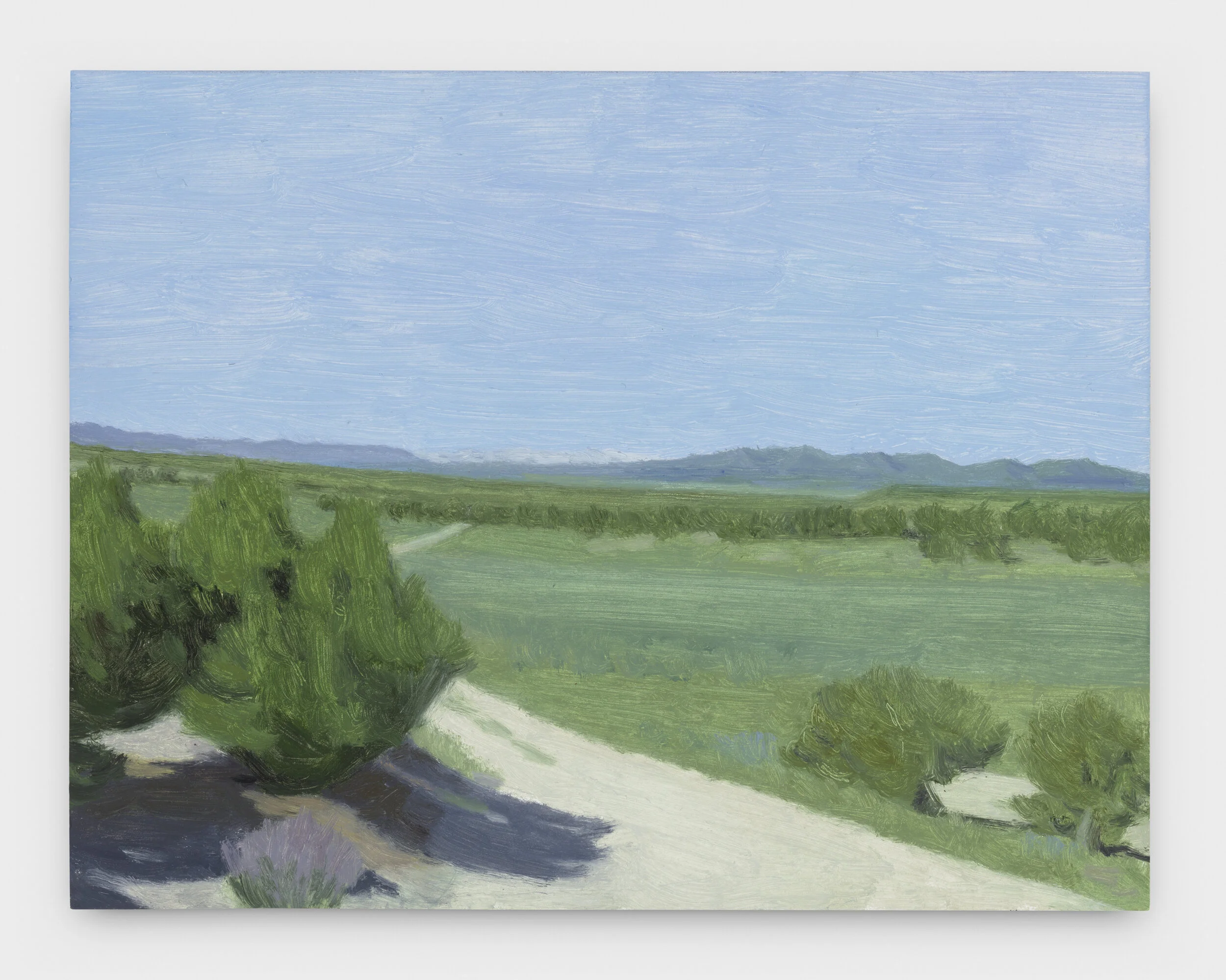 2019-20 — Eleanor Ray