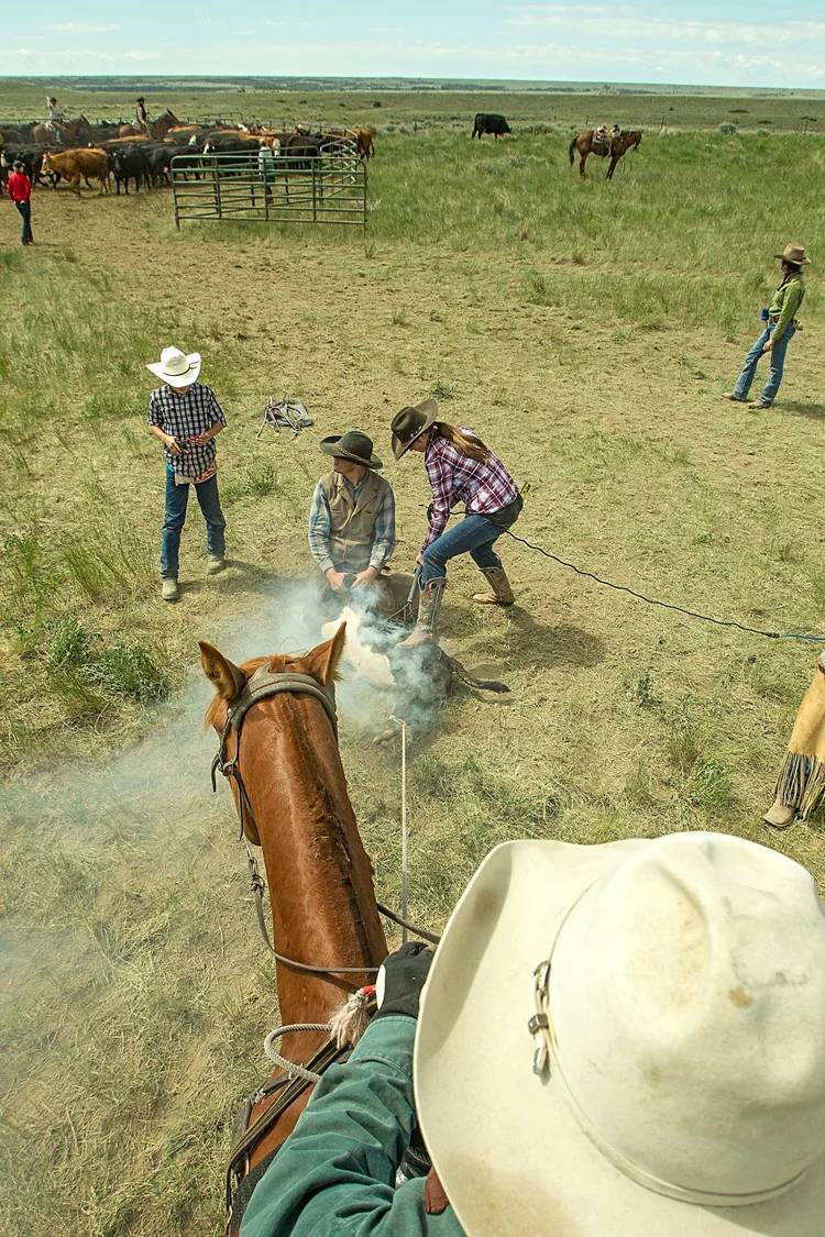 Ranch Internships in Montana | Cattle & Cow-Calf Operation | IX Ranch — IX