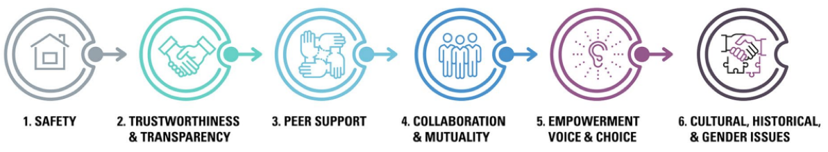 Trauma-Informed Care — Sadie Elisseou, MD