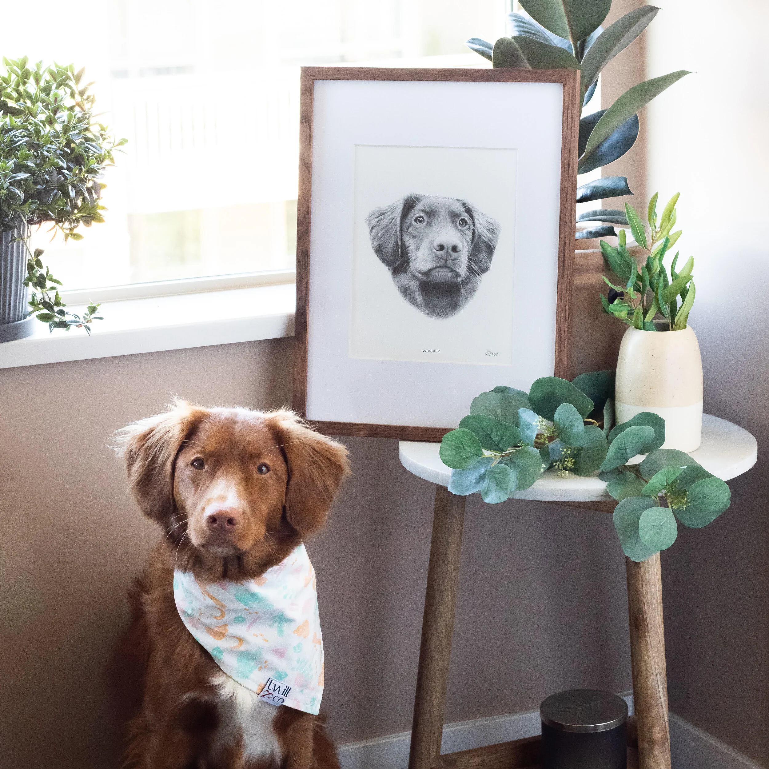 Good Boy Prints | Custom Pet Portraits