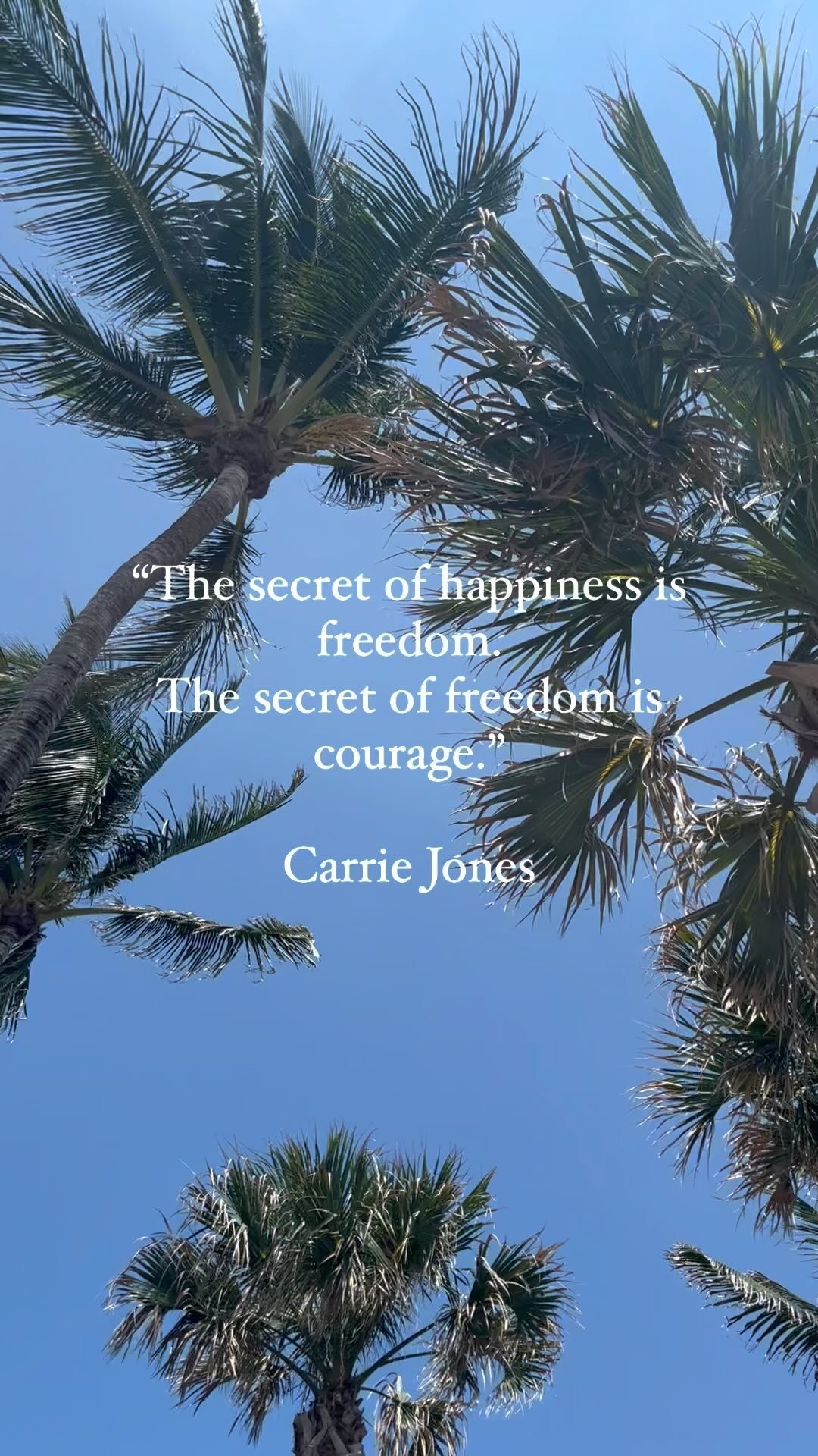 Oat Maple Breakfast Bars — Vita Vie Retreat