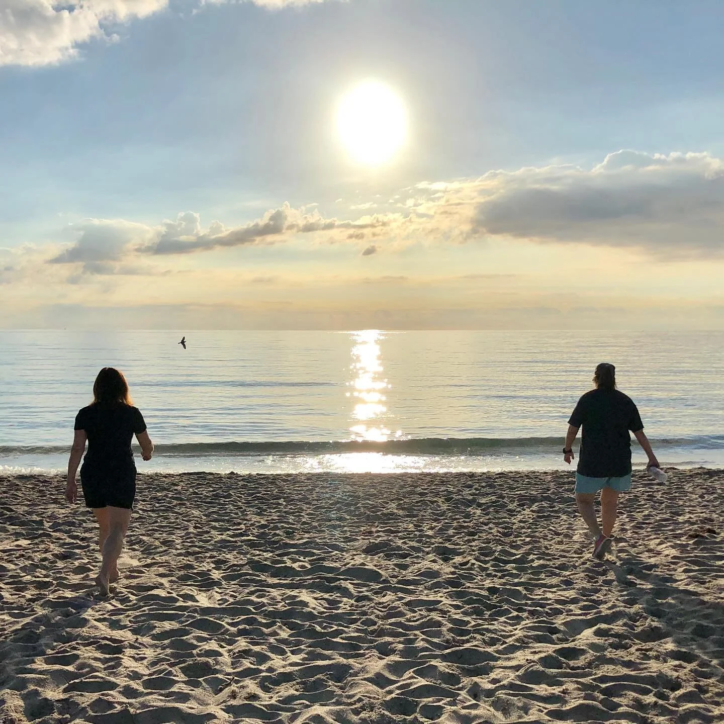 Weekly Workout Tracker - FREE — Vita Vie Retreat