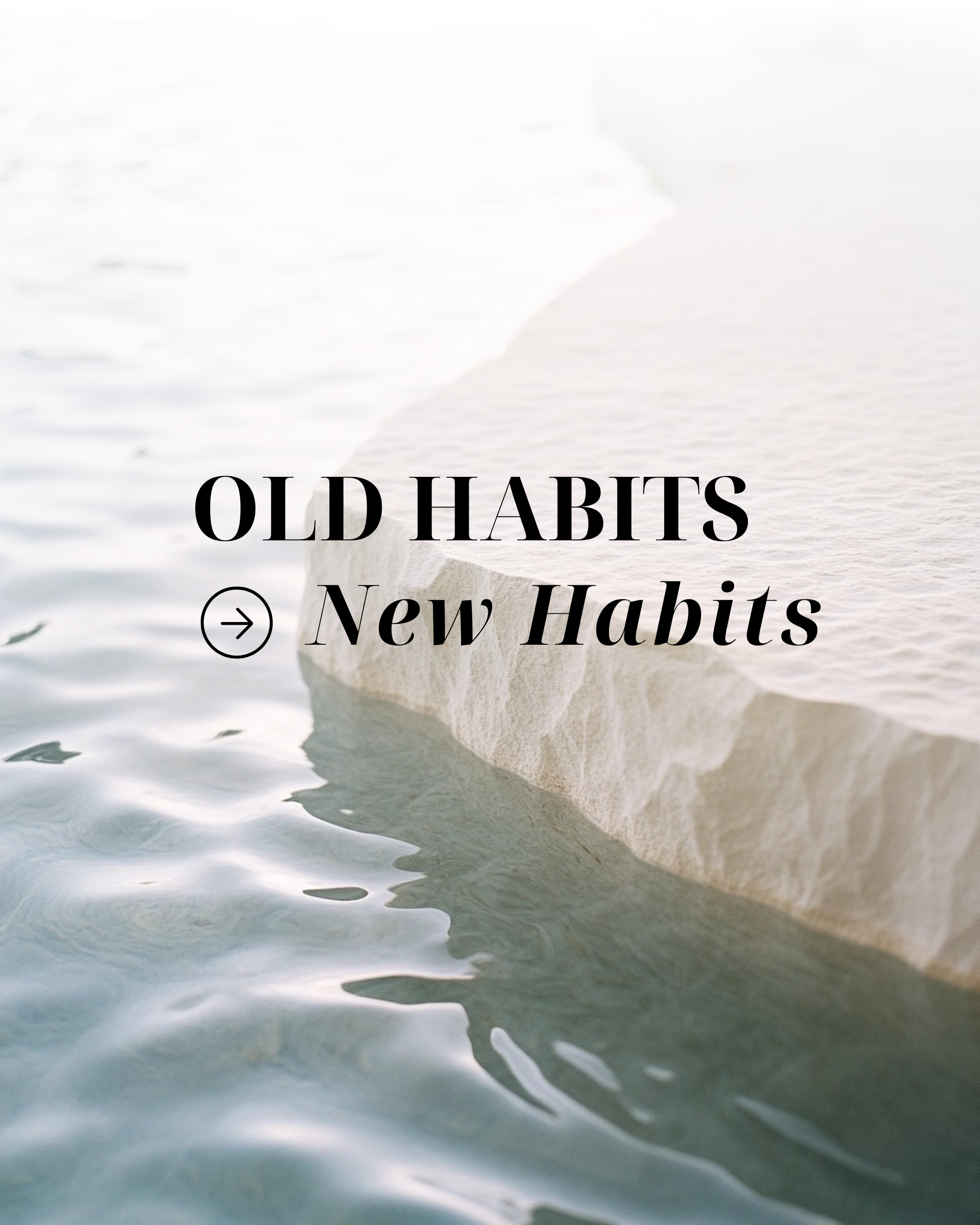 Mindset Momentum — Vita Vie Retreat