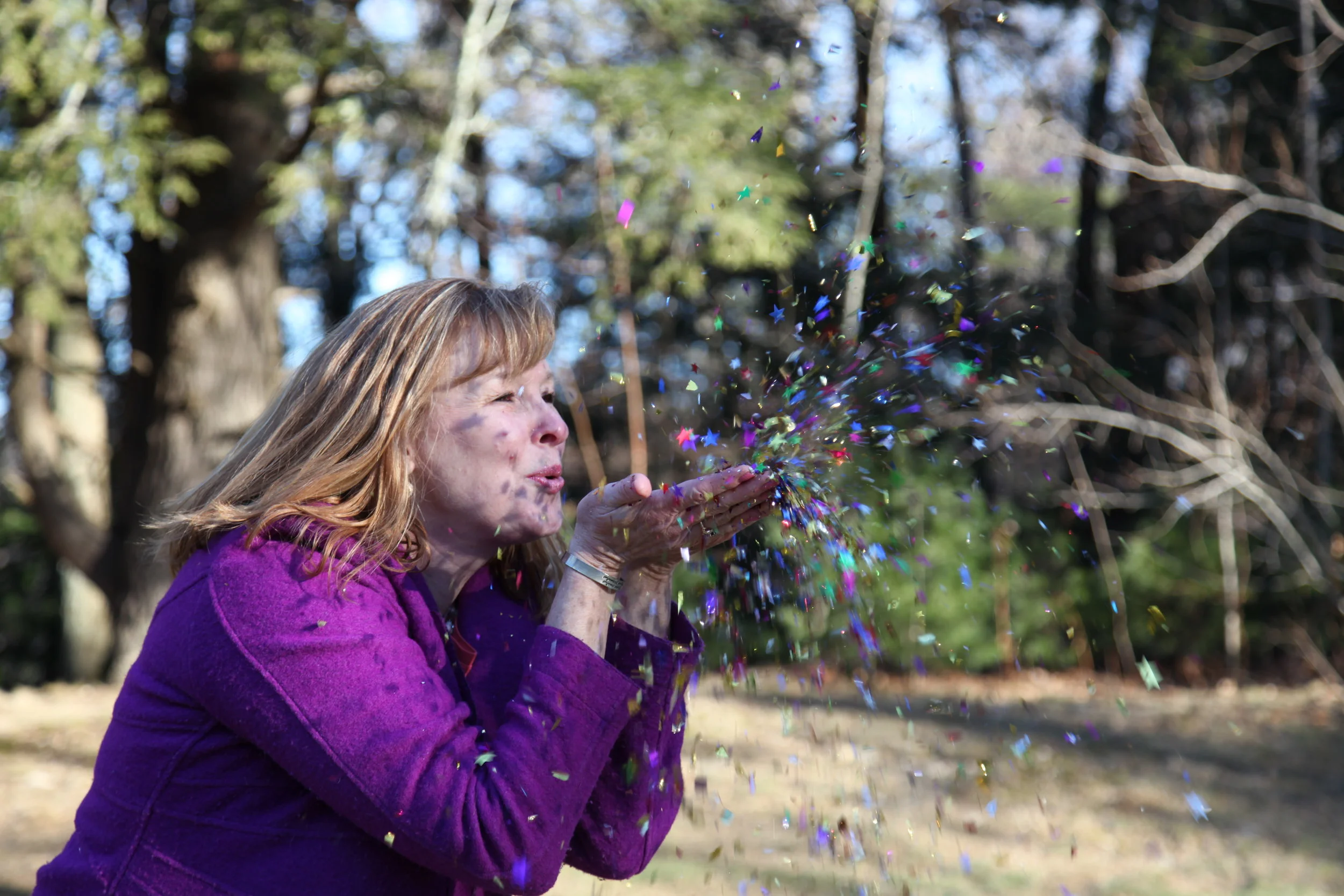 Lisa Berman Life Coach