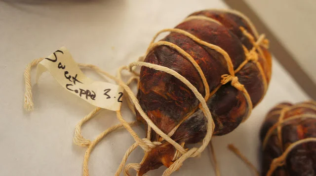Italian Cured Meats: Coppa (or Capicola) — Ngo Your Meal