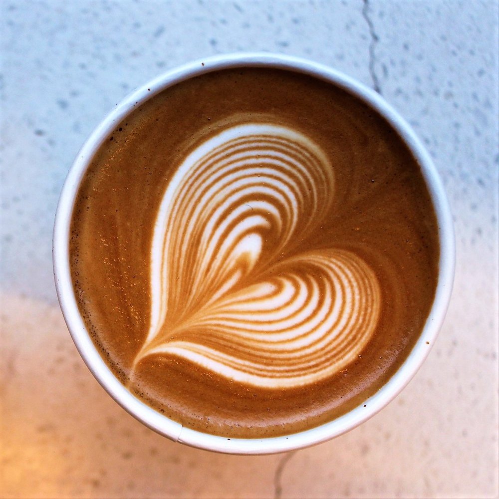 Arabica: A Rising Coffee Superstar — Ngo Your Meal