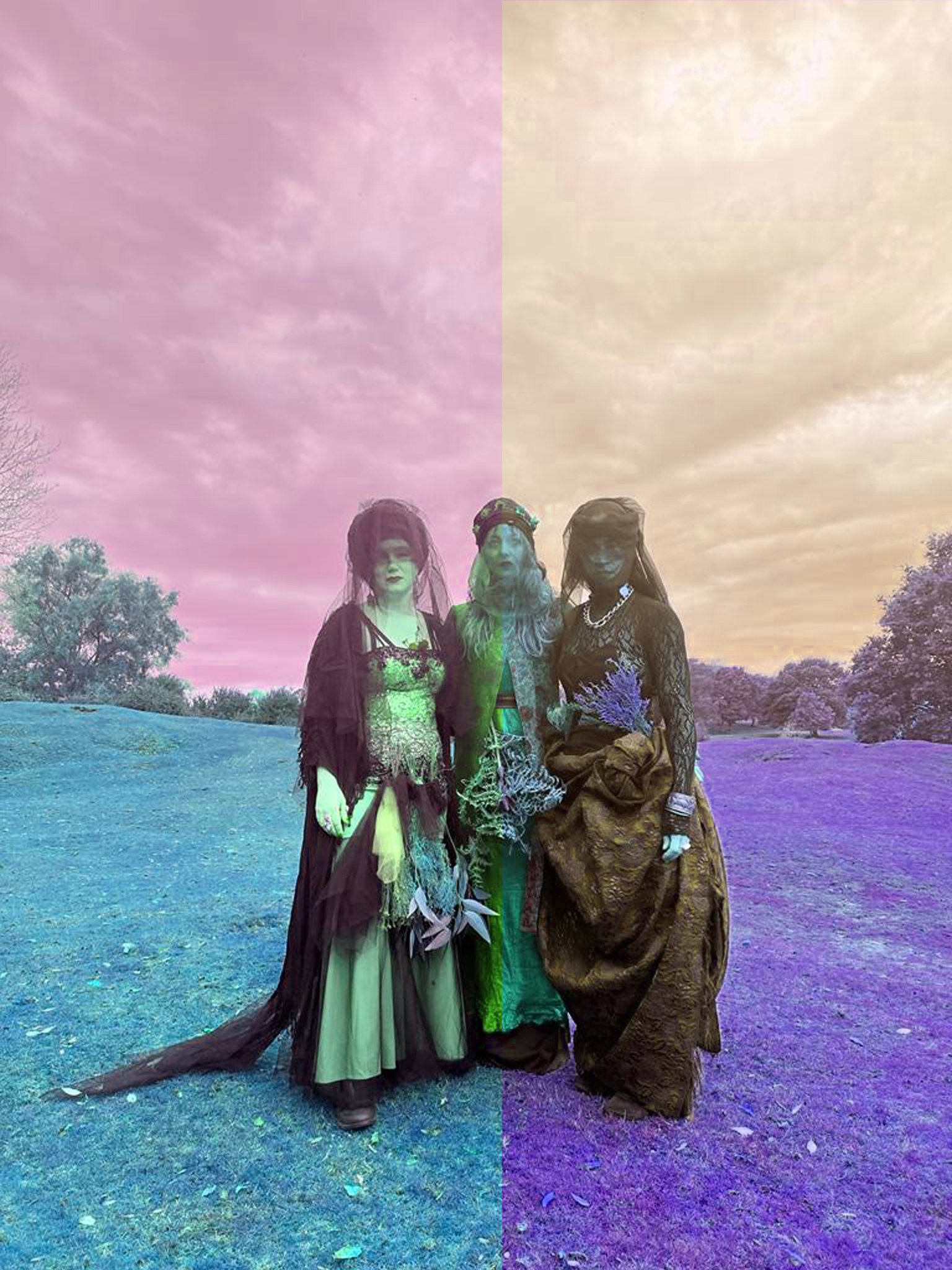 Events — Abney Park