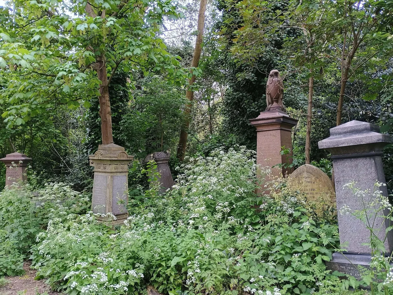 Abney Park