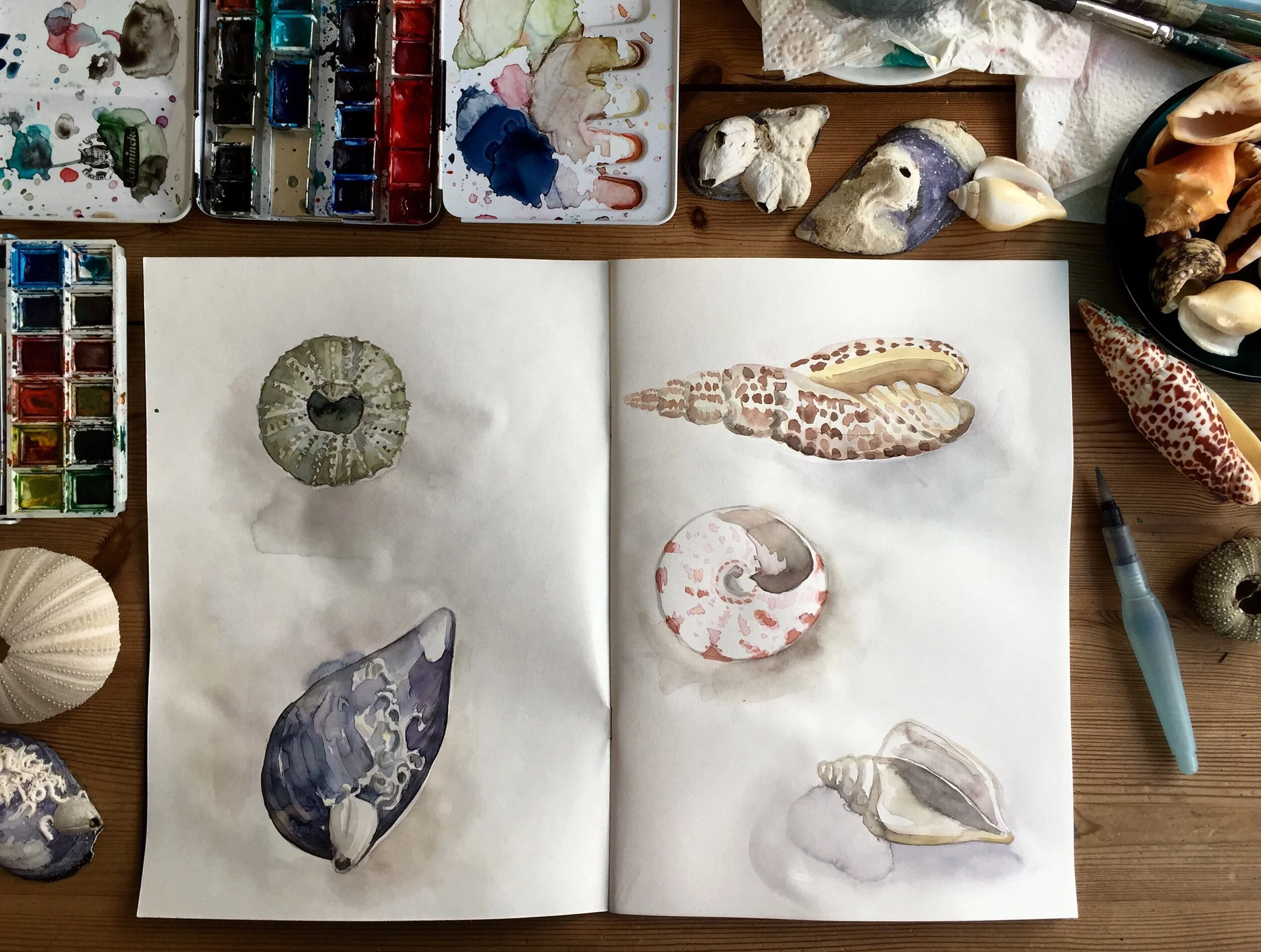 florals and nature — maria over