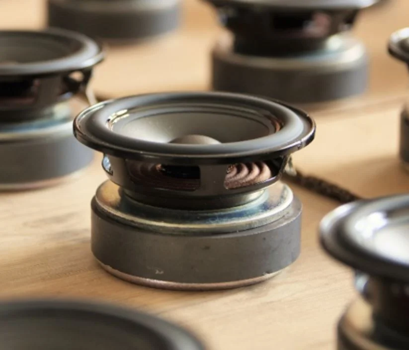 Cocobo 🌴 Purchase a natural coconut speaker