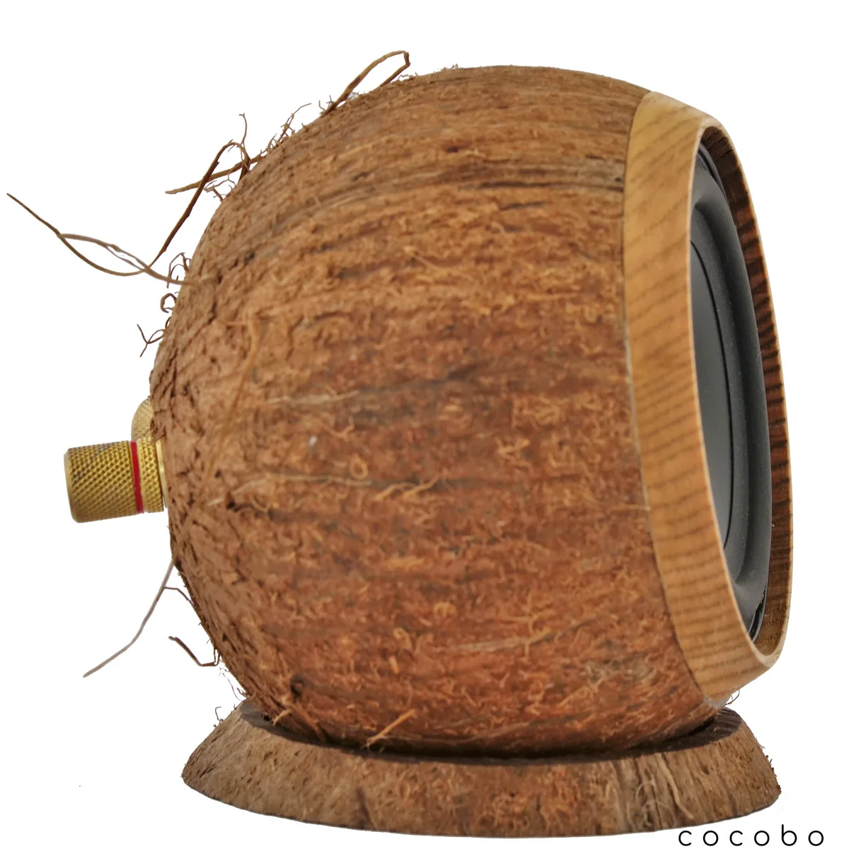 Cocobo 🌴 Purchase a natural coconut speaker