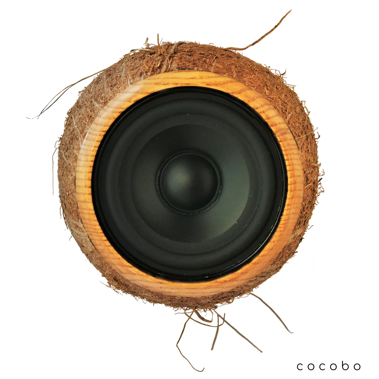 Cocobo 🌴 Purchase a natural coconut speaker