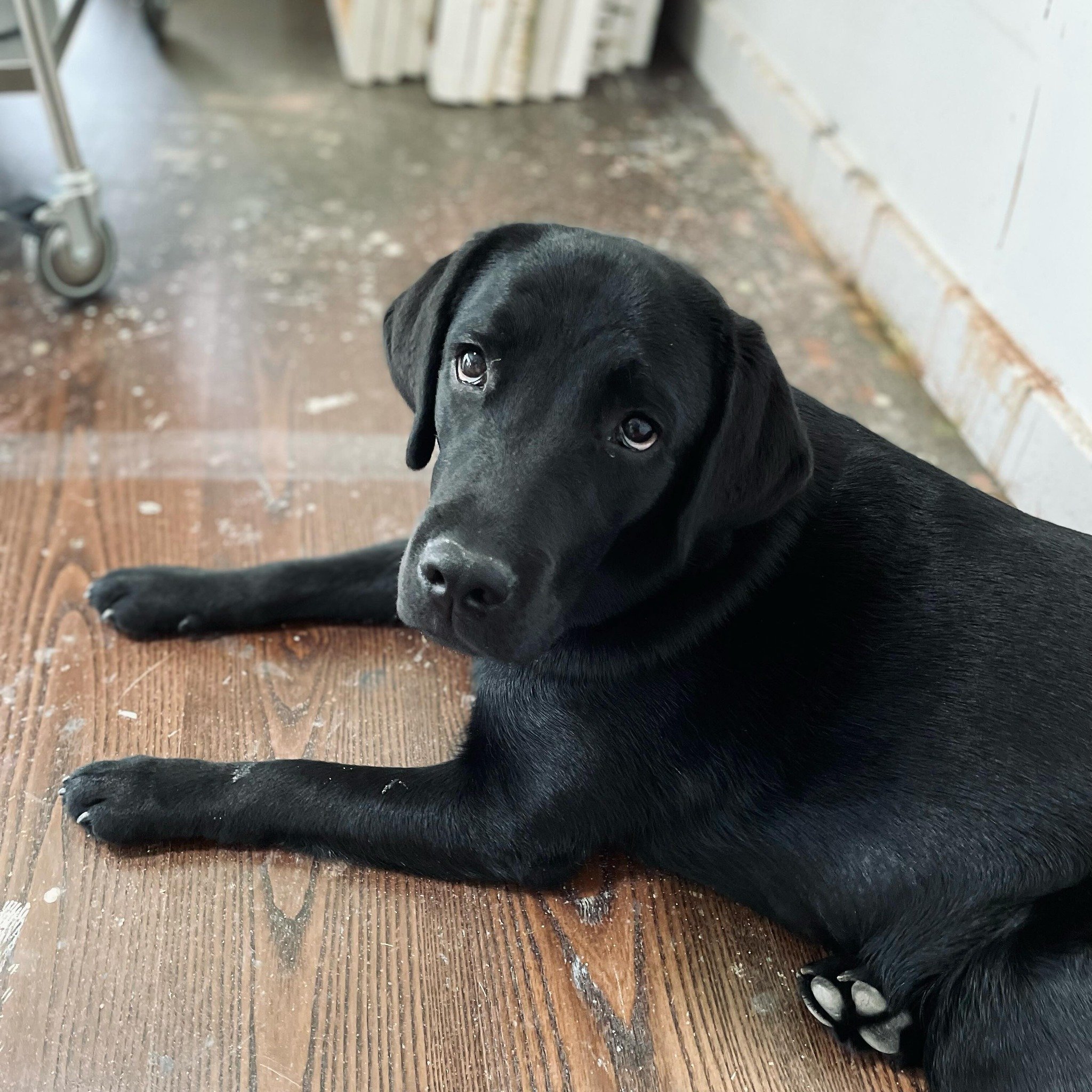 Kate Burns — Gallery