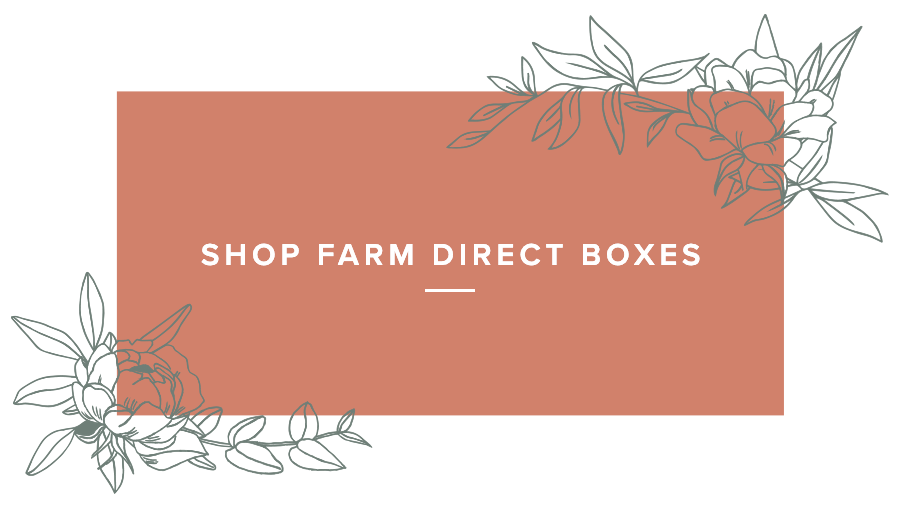 The Floral Source | American Grown Farm Direct Wholesaler