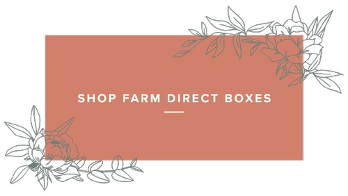 The Floral Source | American Grown Farm Direct Wholesaler