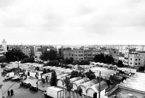 Louis Riou — MAMMA.