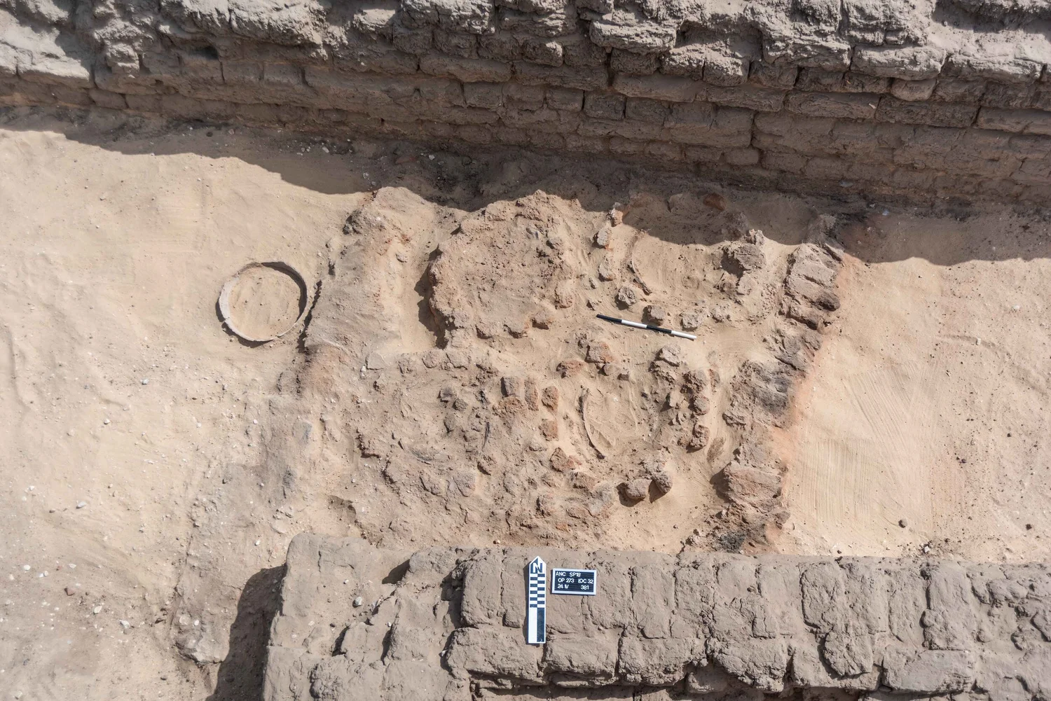 What's on Tap (literally) at Abydos this Season? — Abydos Archaeology