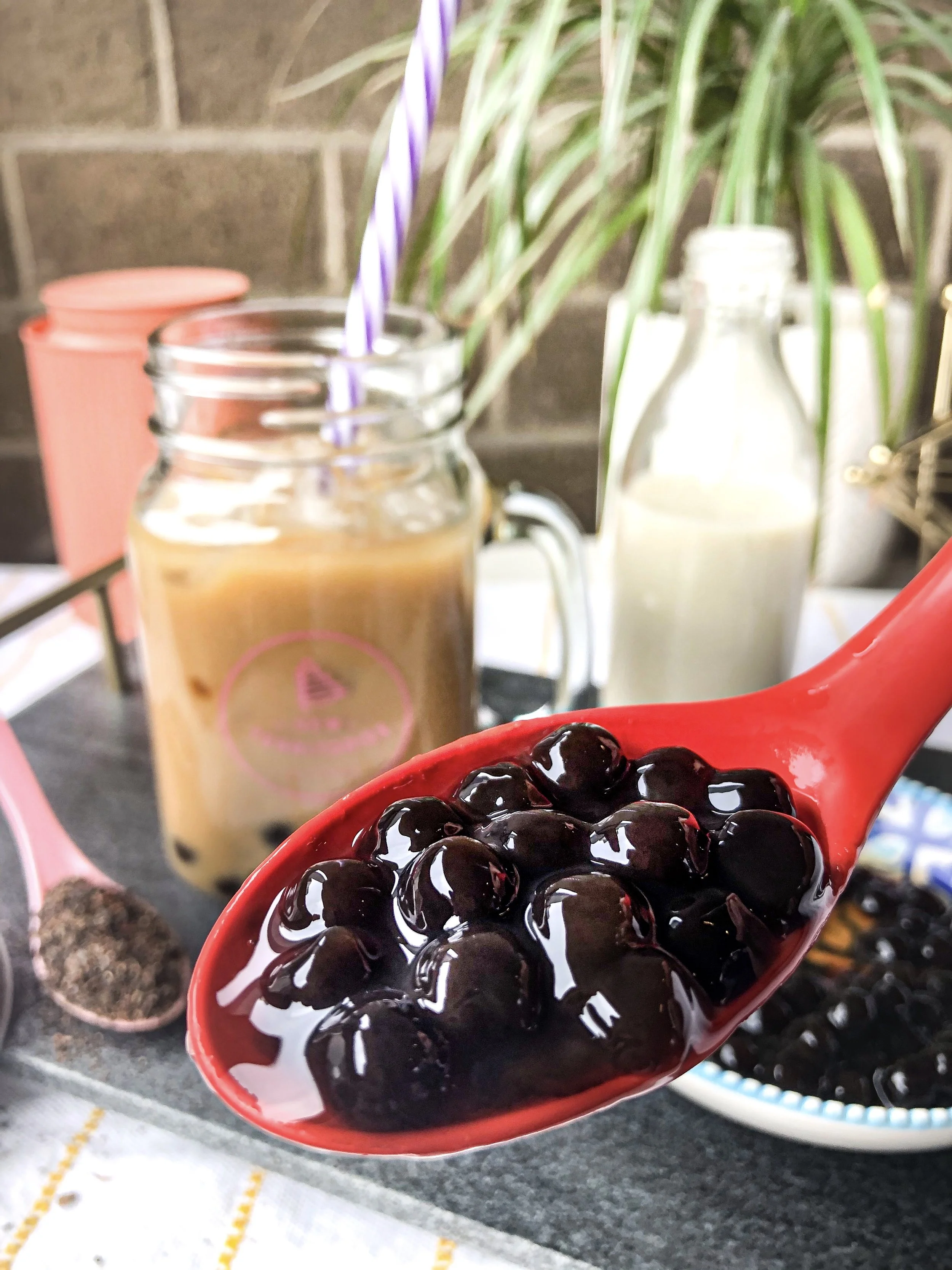 Merchandise — New Territories