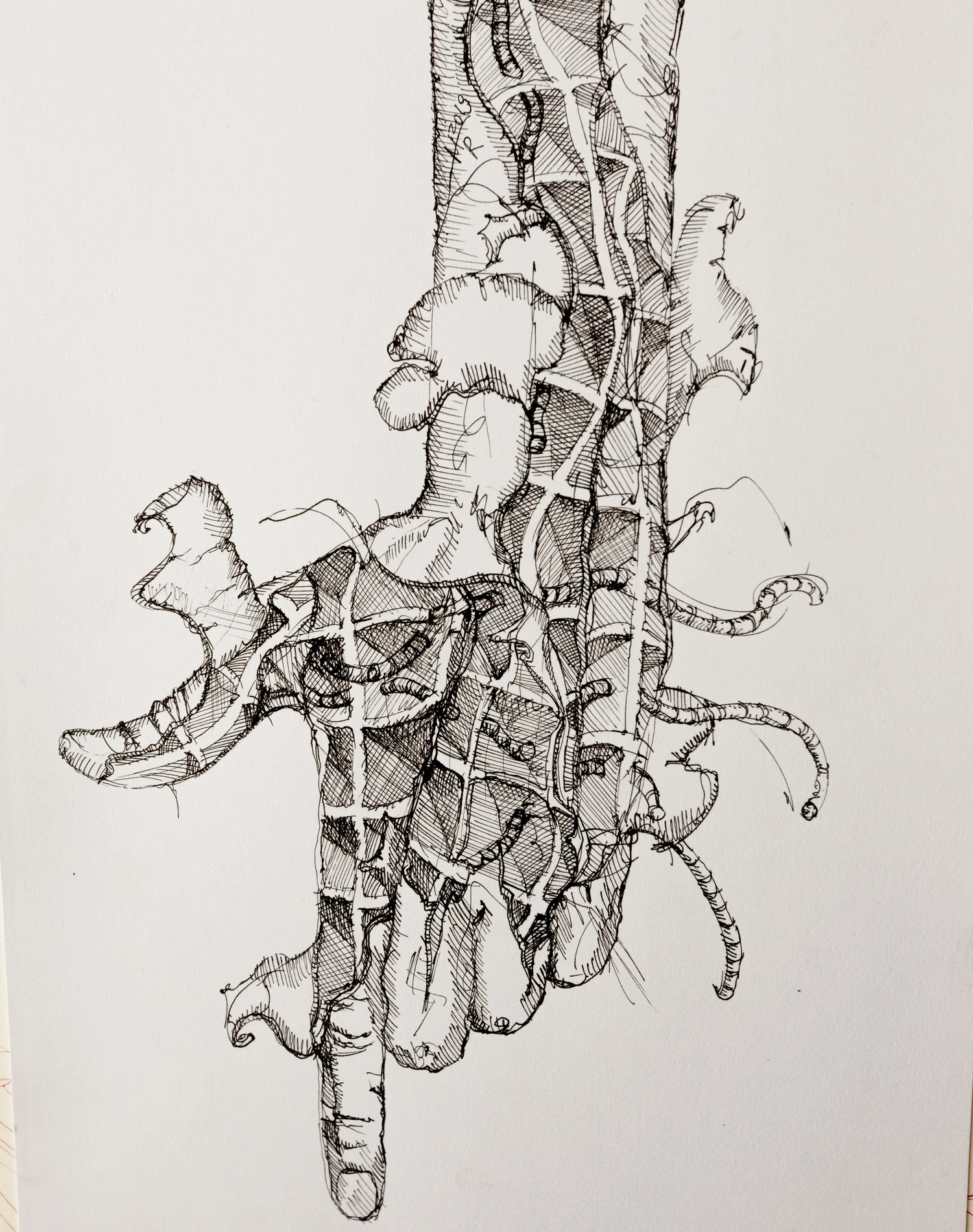 Peeling hand - pen and ink drawing — Mirena Rhee