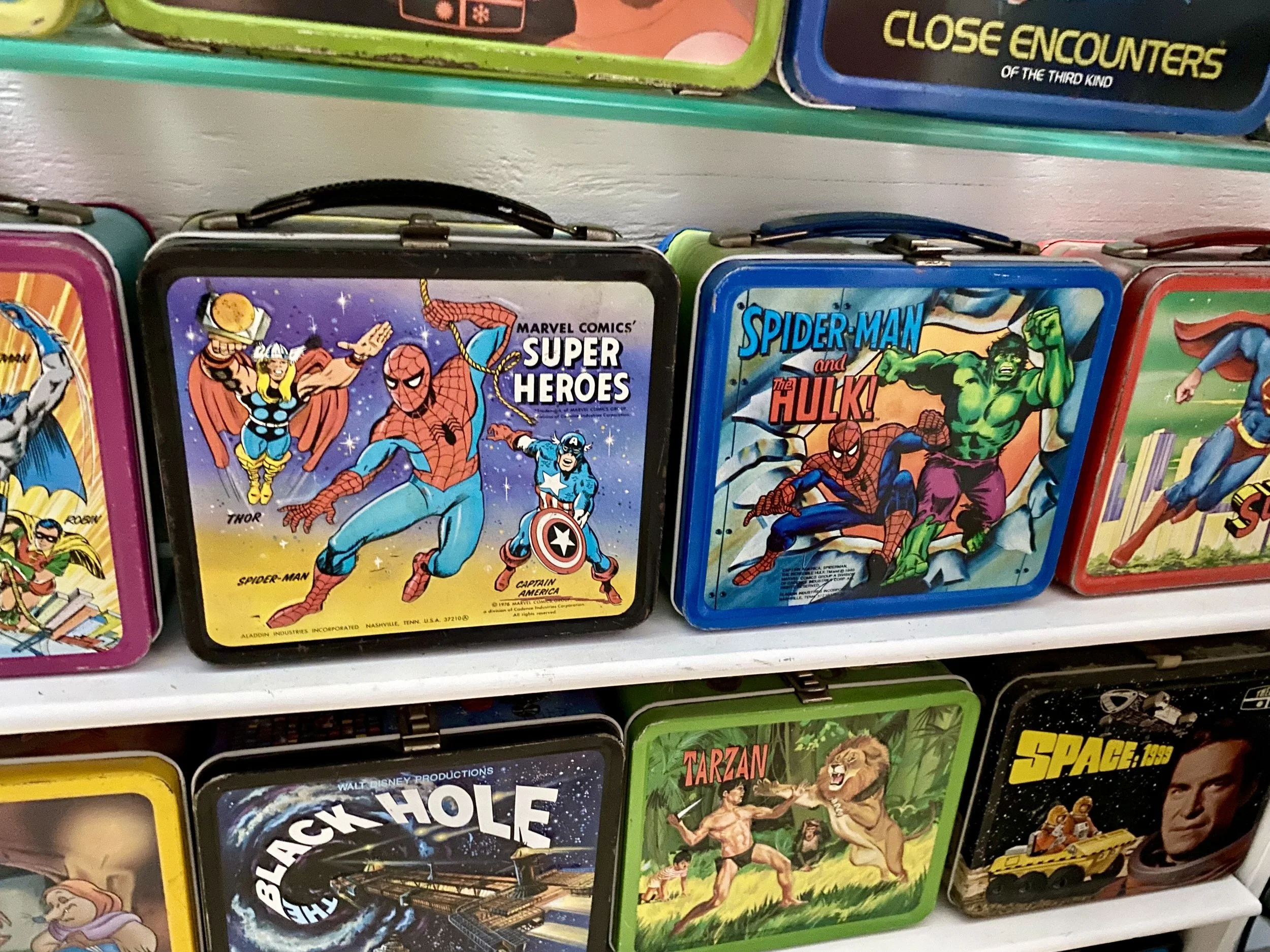The Wonderful World of Disney Lunch Boxes — Collector Guys