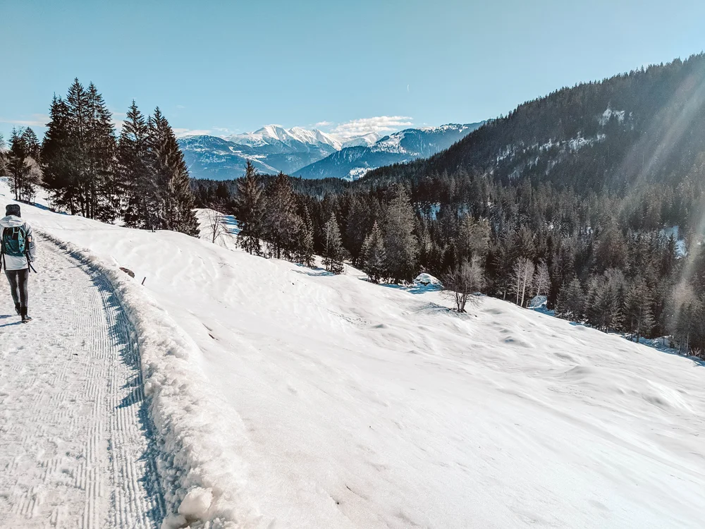 How to Say Hello in Swiss German — Wander We Go