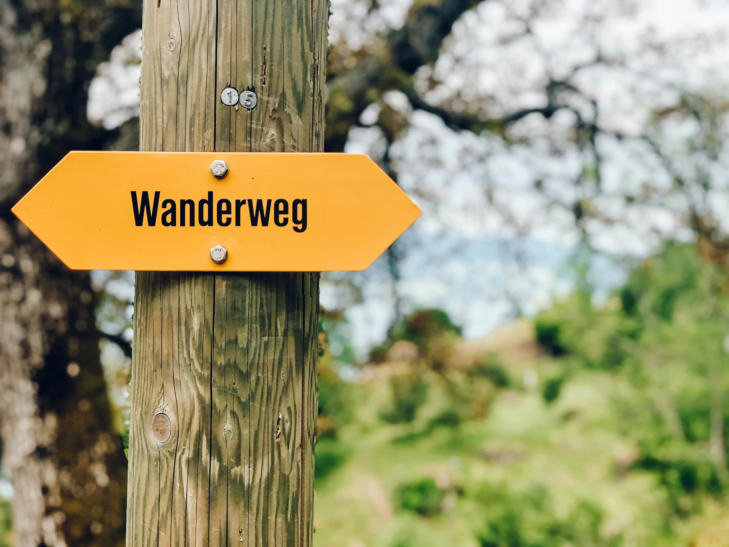 A Guide to Hiking in Switzerland — Wander We Go