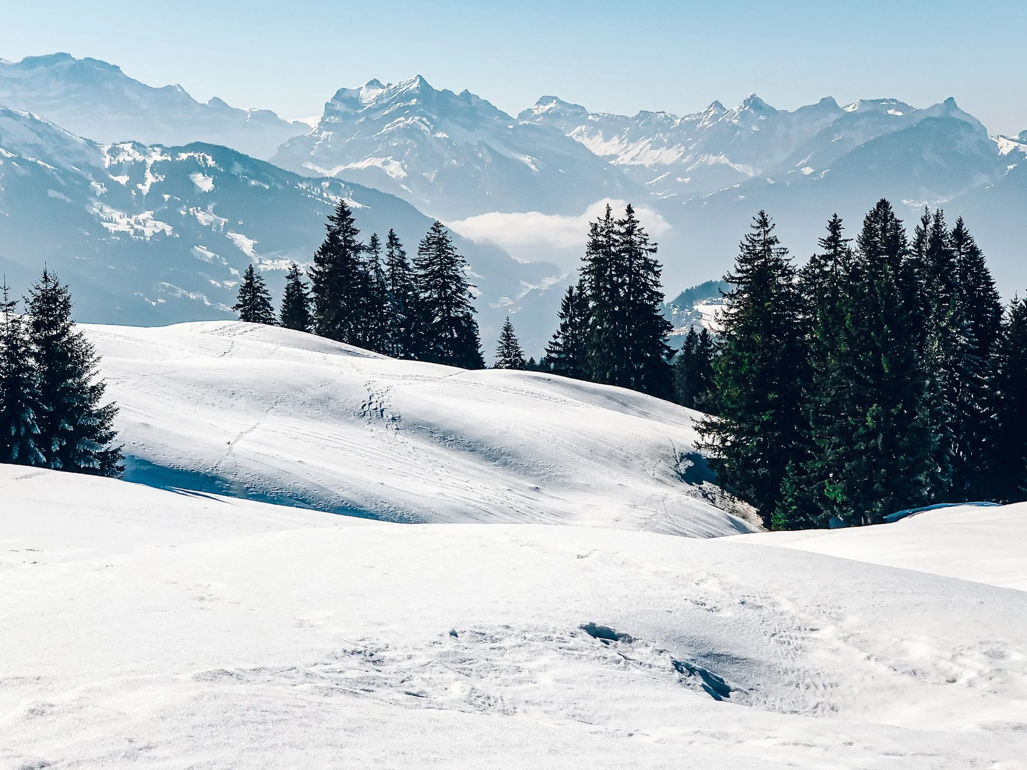 The 18 Best Snowshoe Trails in Switzerland — Wander We Go
