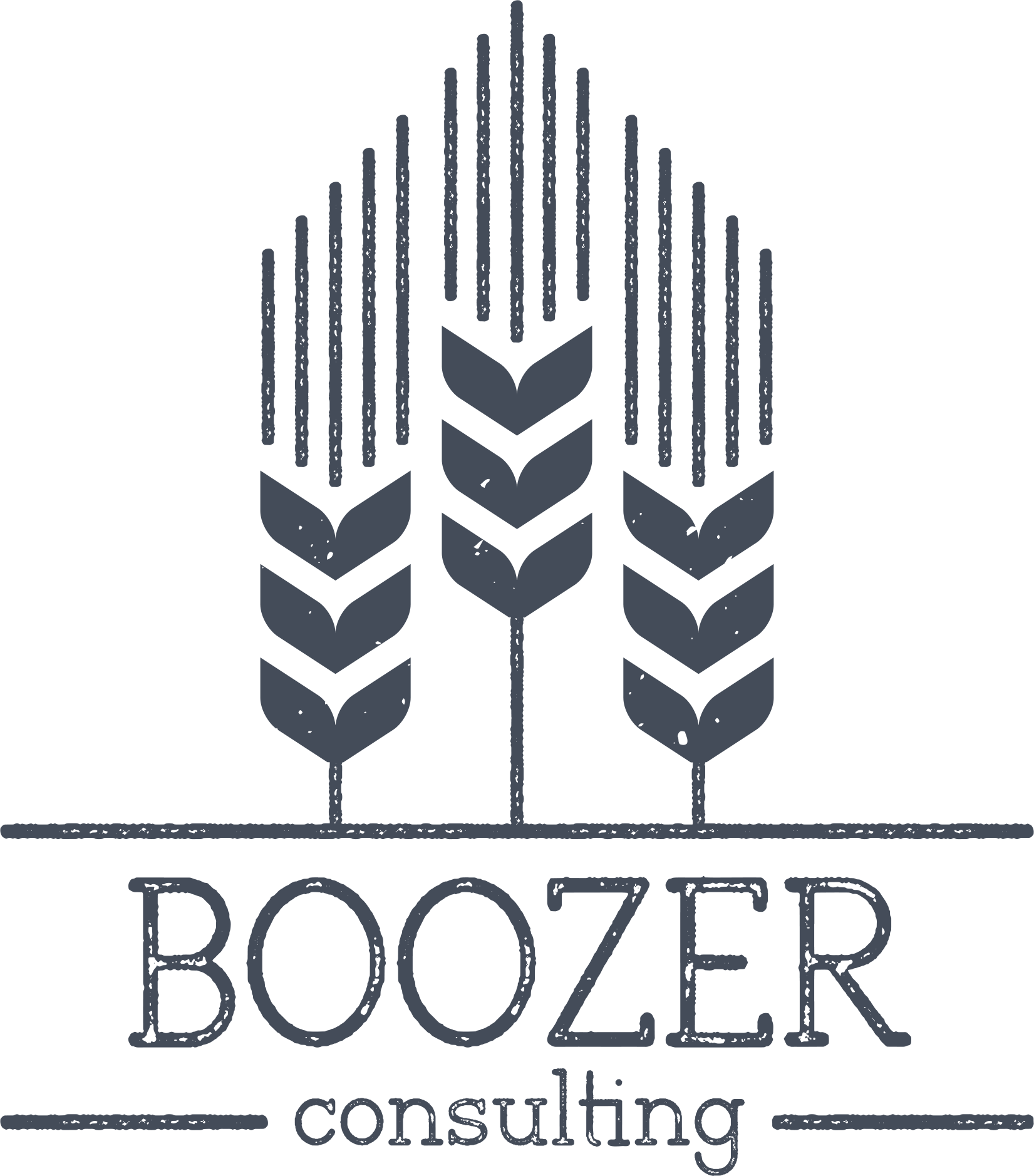 Boozer Consulting