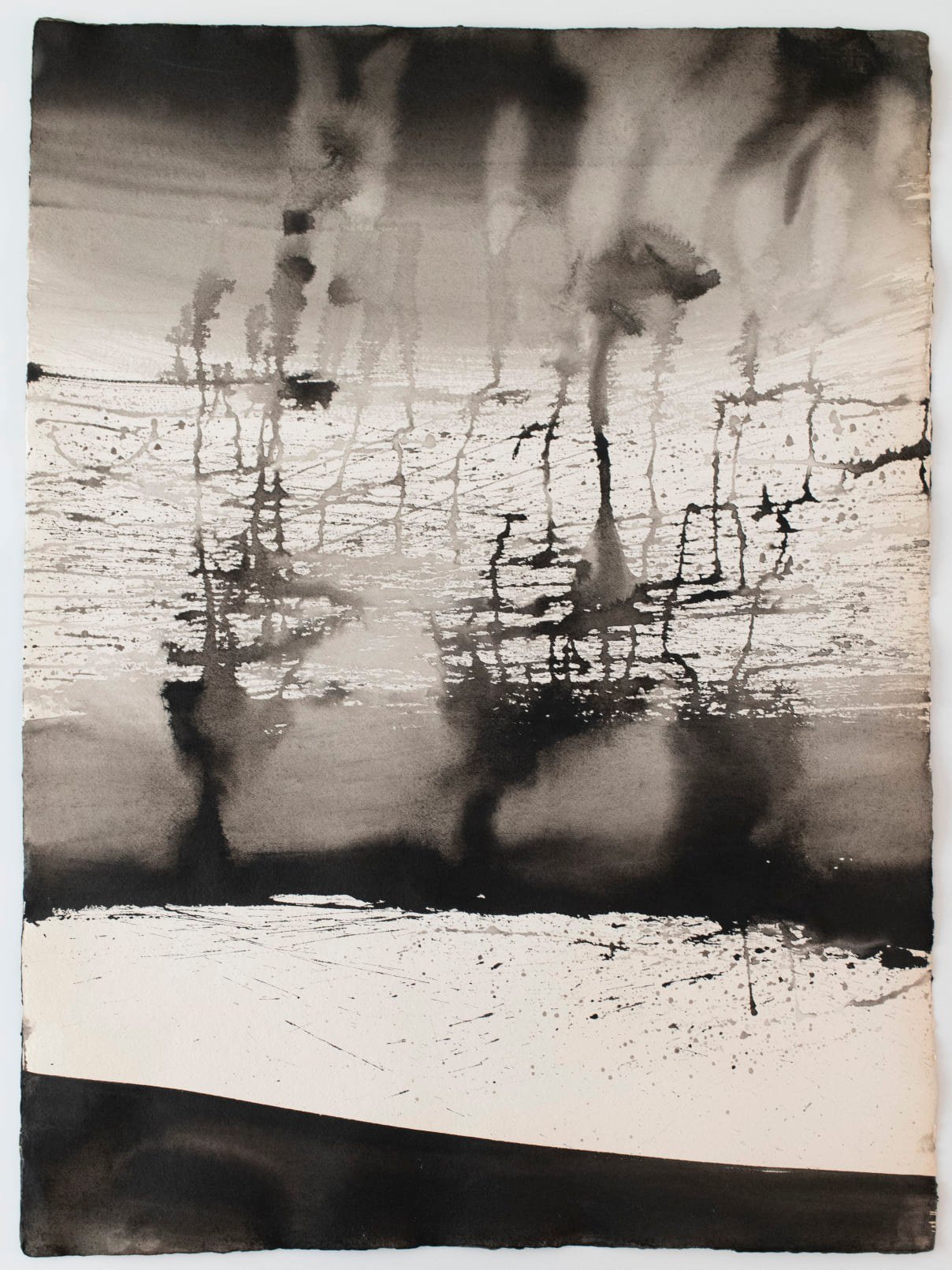 HERMAN MAES