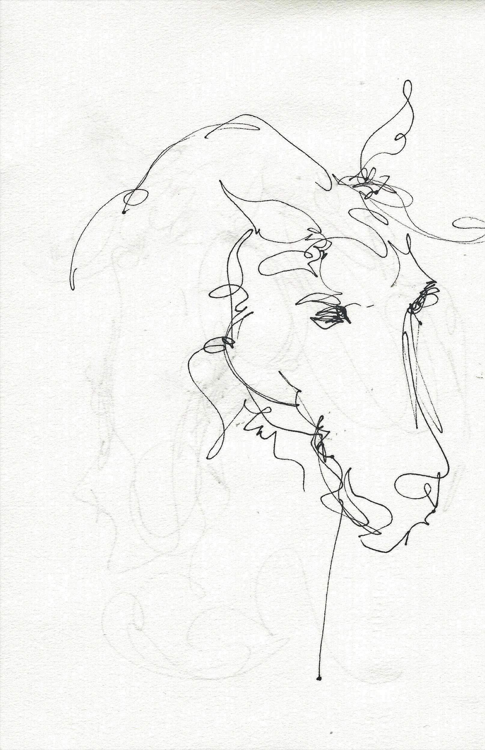 Original Drawings for Sale — Lauri Daughtry