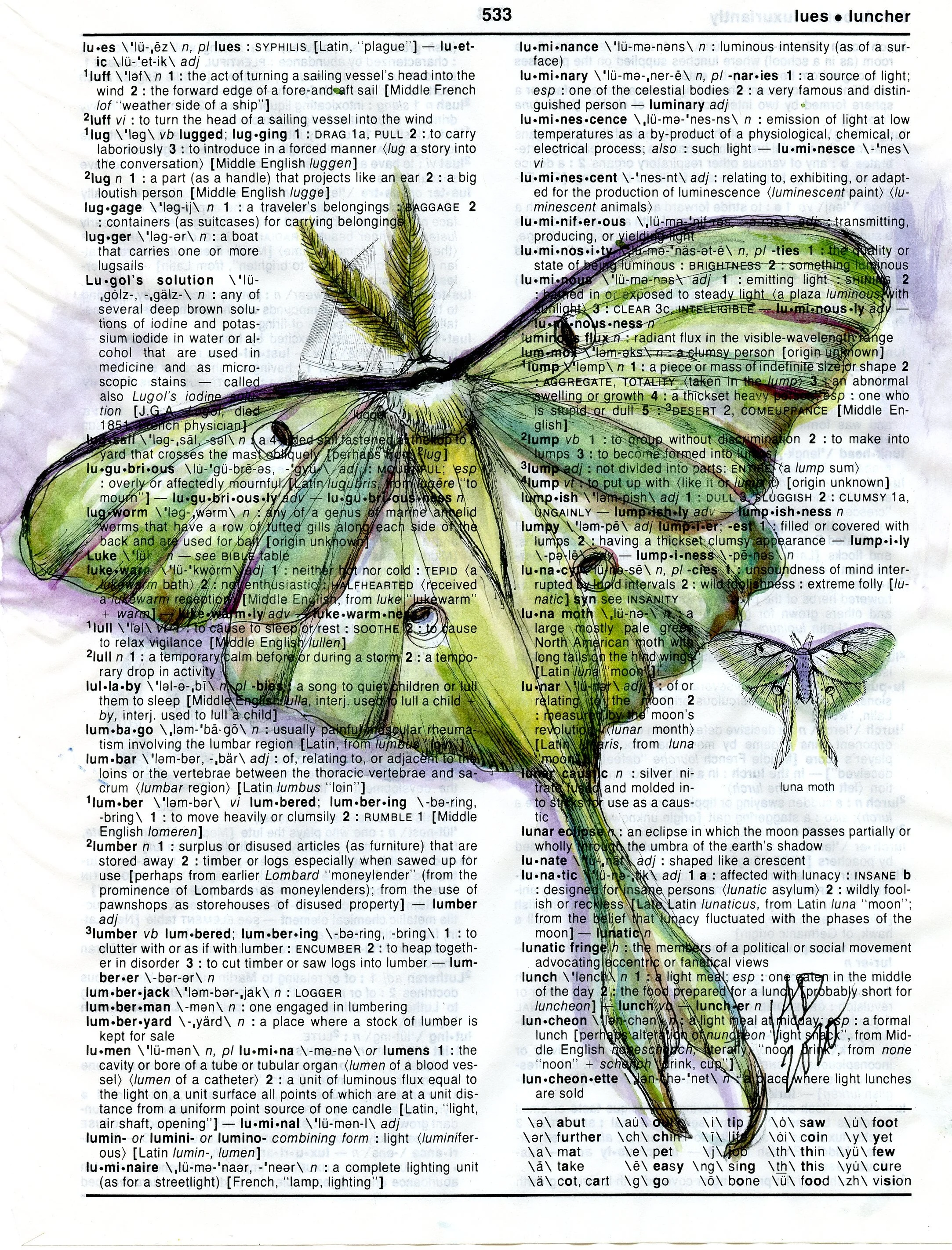 New Series: Dictionary Pages — Lauri Daughtry