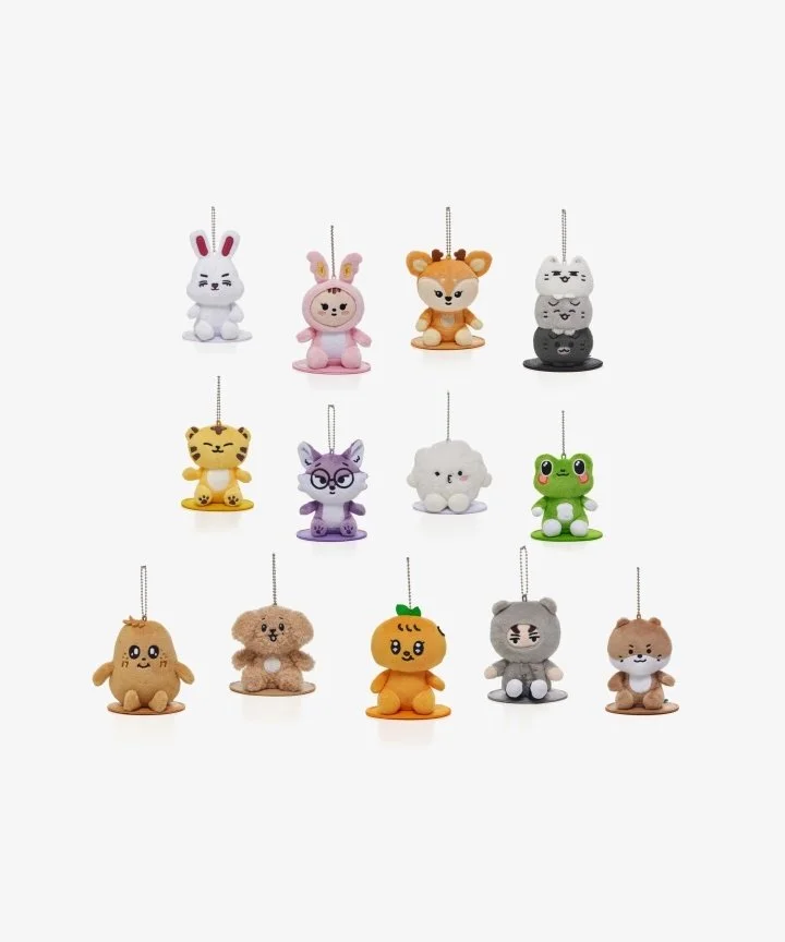 Official preorder SEVENTEEN MINITEEN OFFICIAL MERCH — Dumber Studios