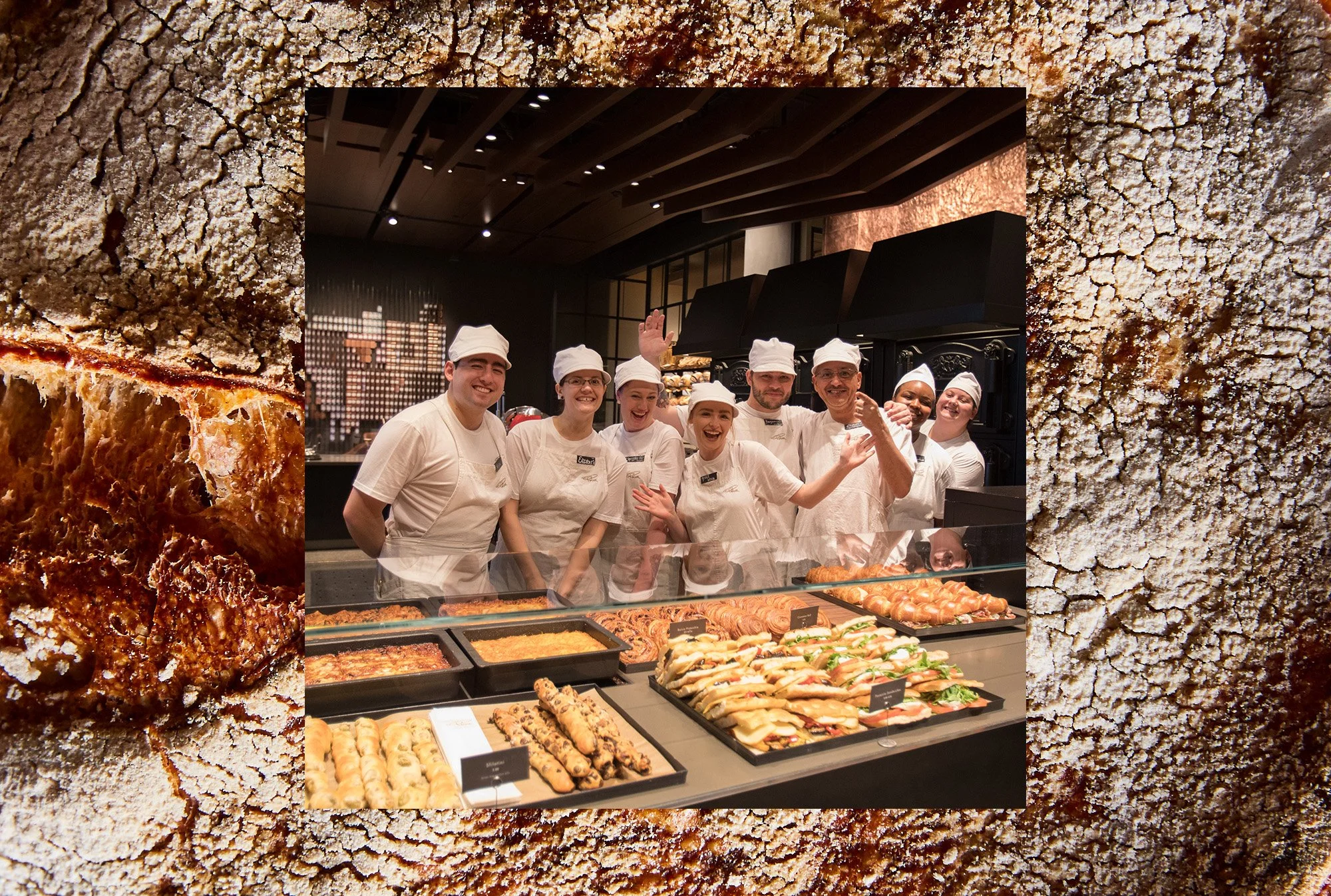 Princi Social Media — suzie reecer