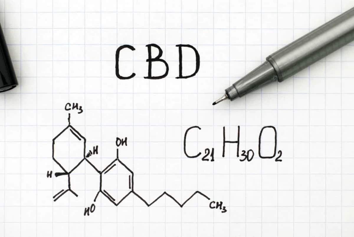 In-depth CBD Guide | Learn More About Cannabinoids Today