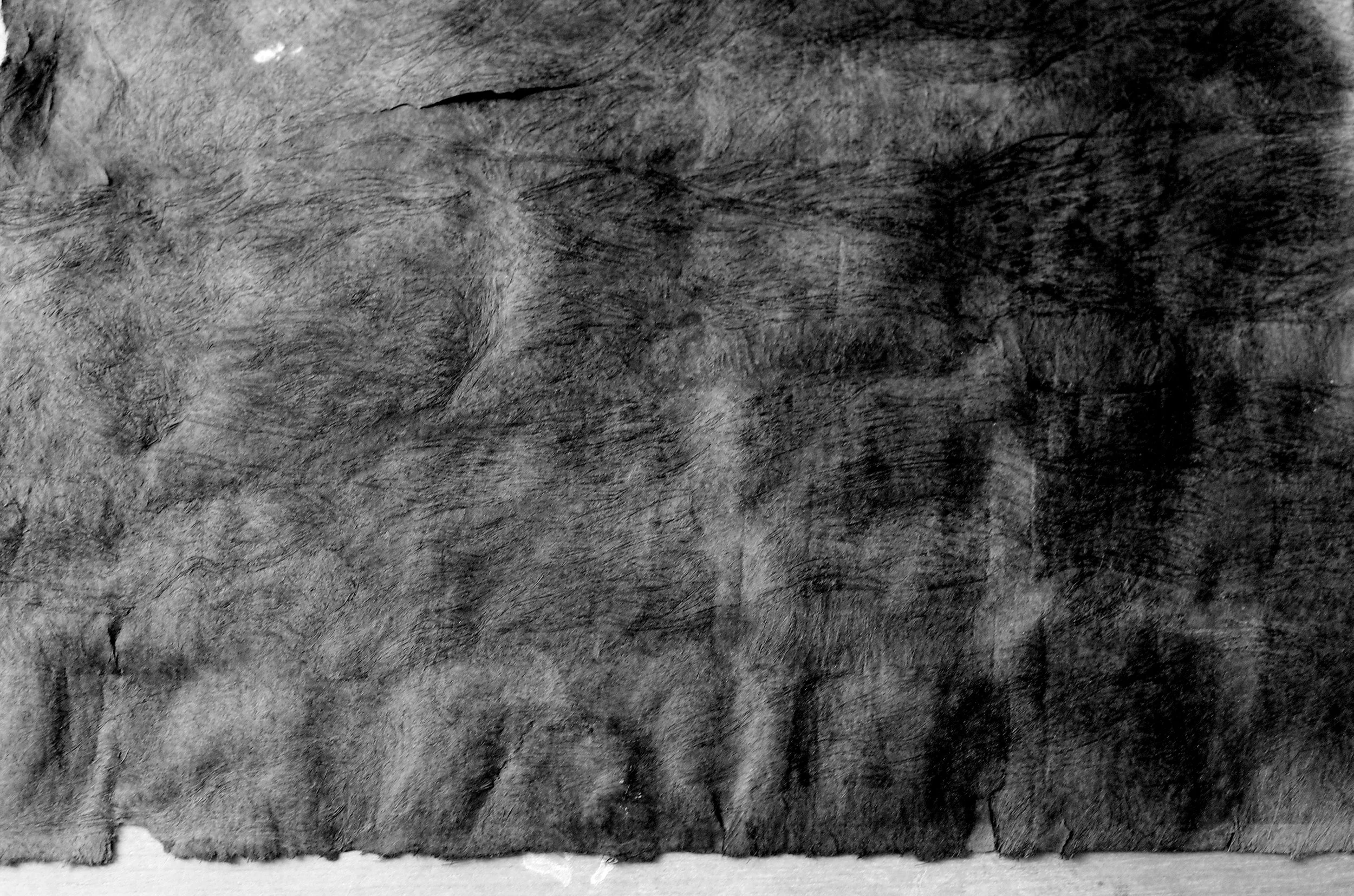 SALT PRINTING PROCESS — Jim Lehmann