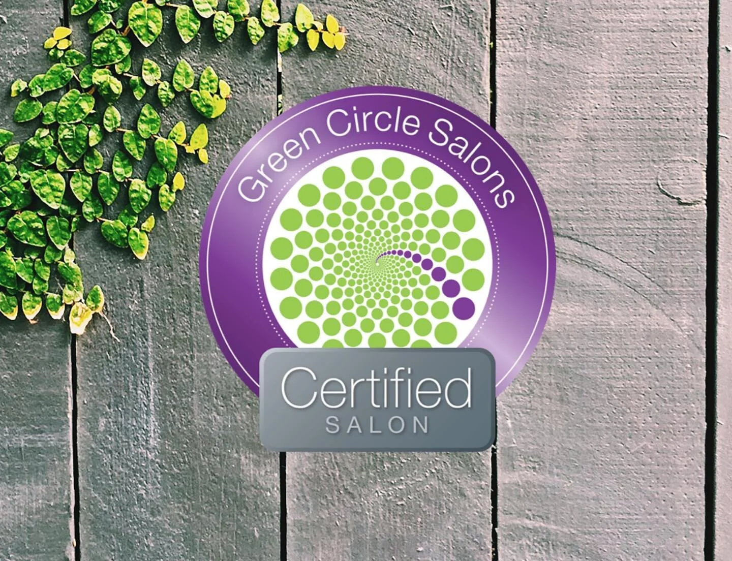 Arrow Beauty. Brows. Barber. Denver, CO