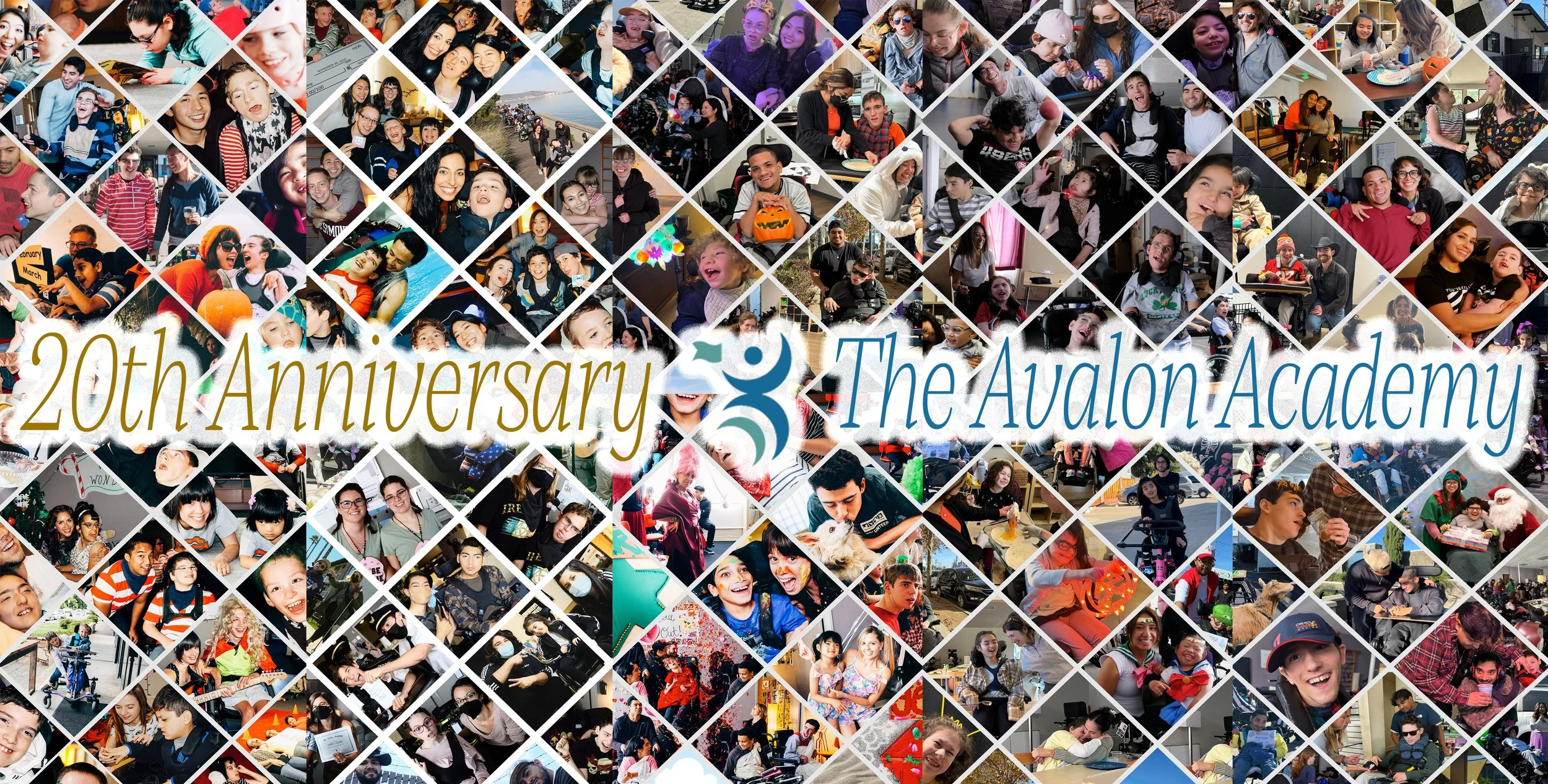 The Avalon Academy