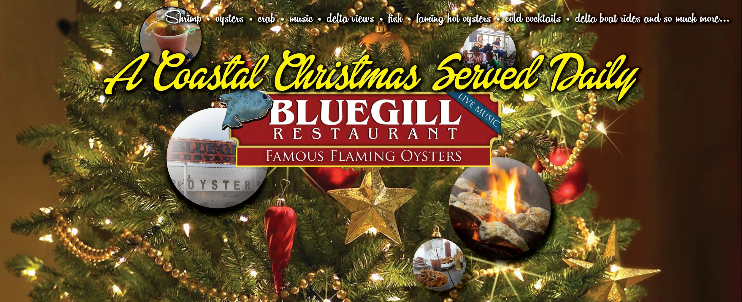 Music Calendar — Bluegill Restaurant