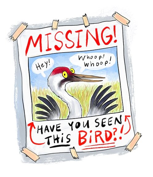 Cartoons/Comics — Paula J. Becker -- Illustrator