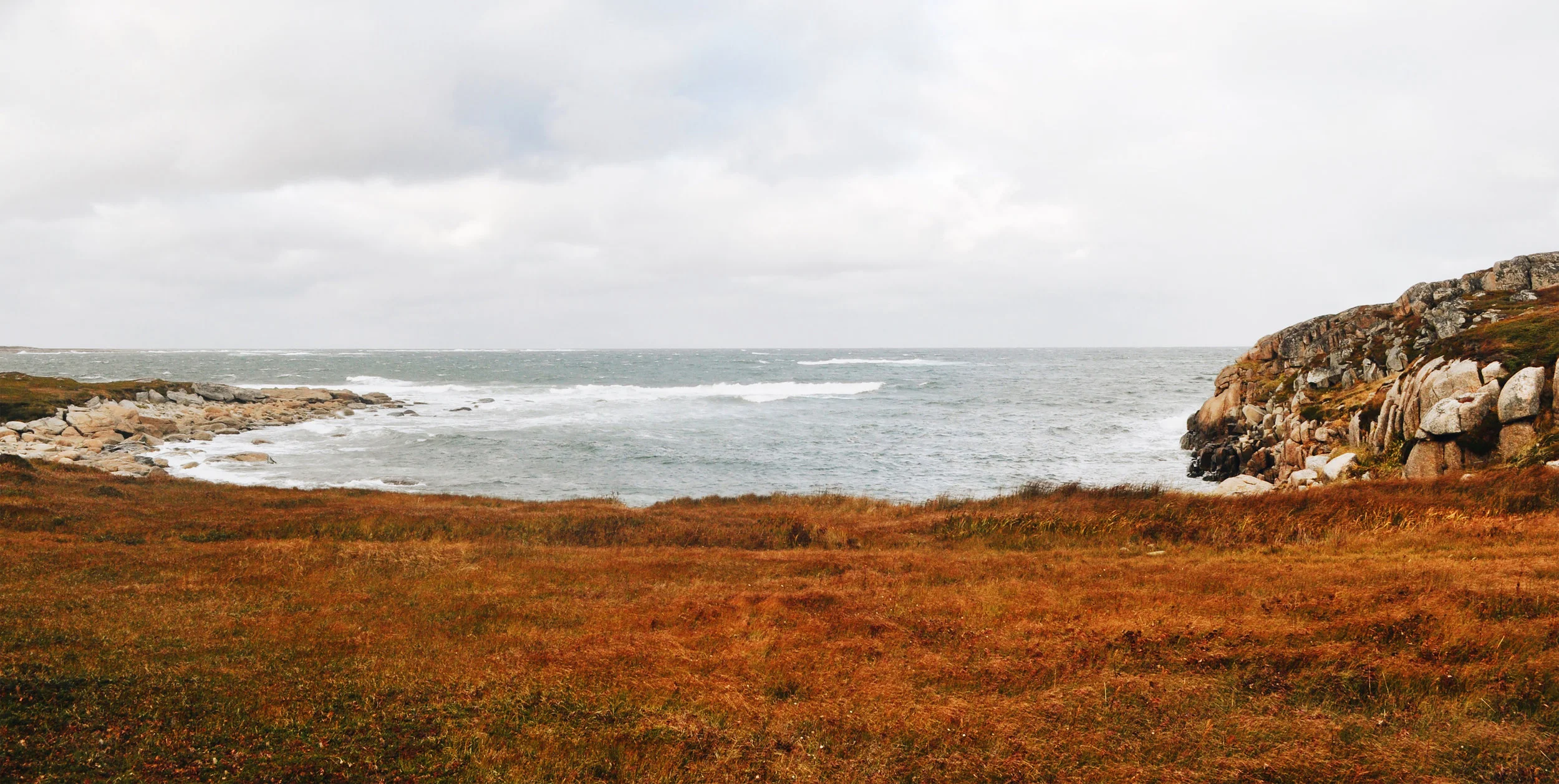 Brackish Team — brackish design studio