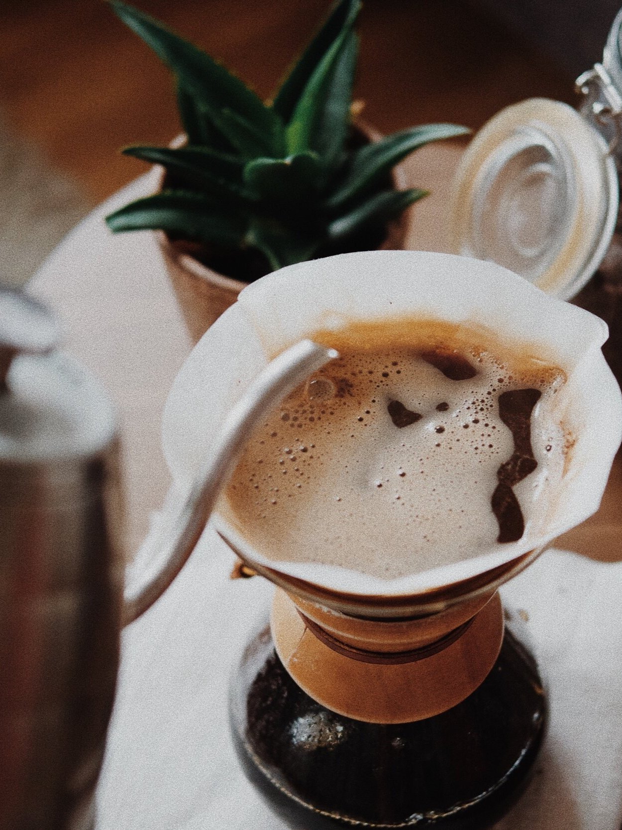 Two Cities Coffee Roasters - Organic Fresh Roasted Espresso Beans ...