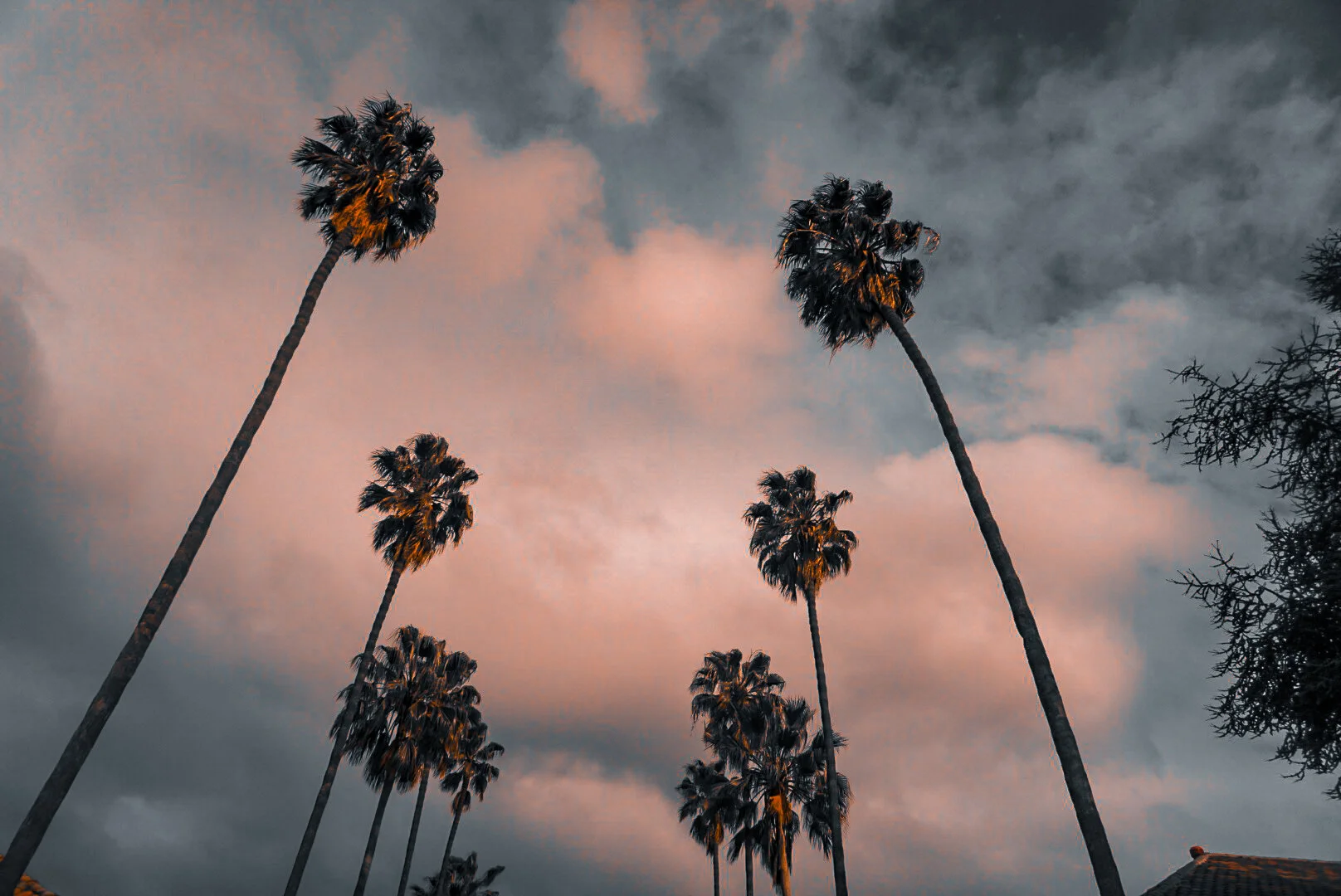 Travel — Gyasi Linje