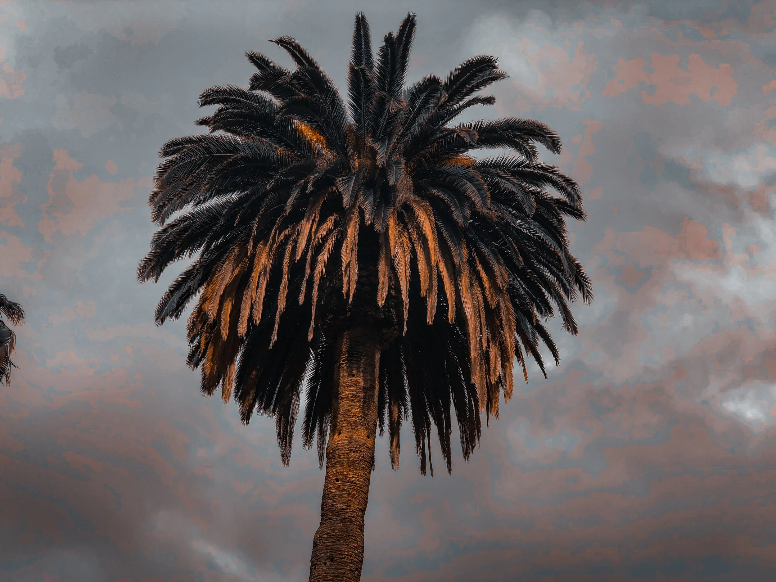 Travel — Gyasi Linje